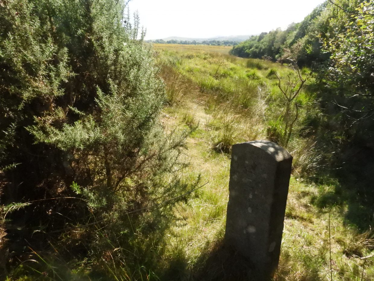 Brentor / Mary Tavy Parish Boundary (with Buller / Edgecombe Standing ...