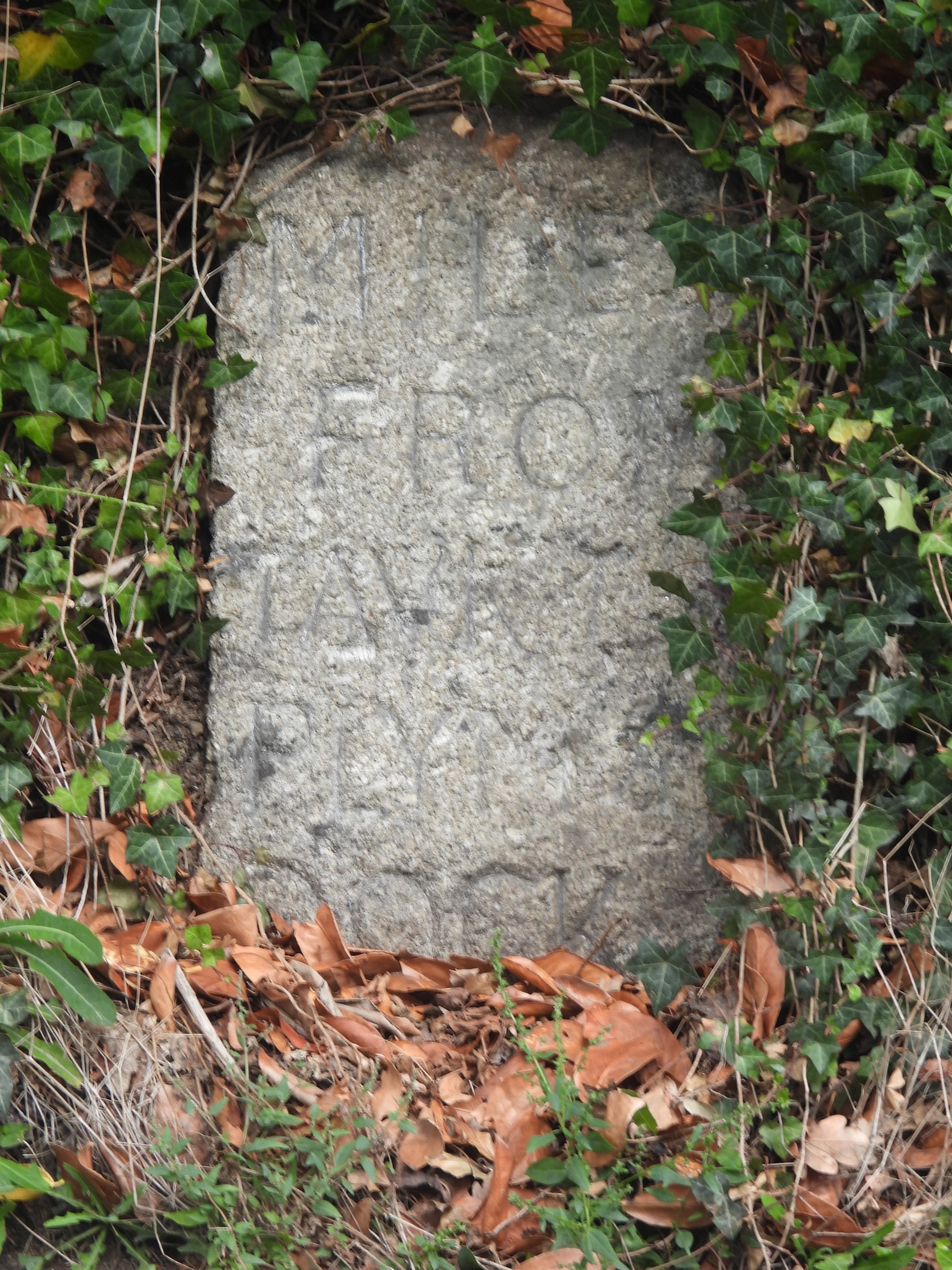 Napoleonic War – The Honour Oak Tree and Parole Stone (Milestone ...