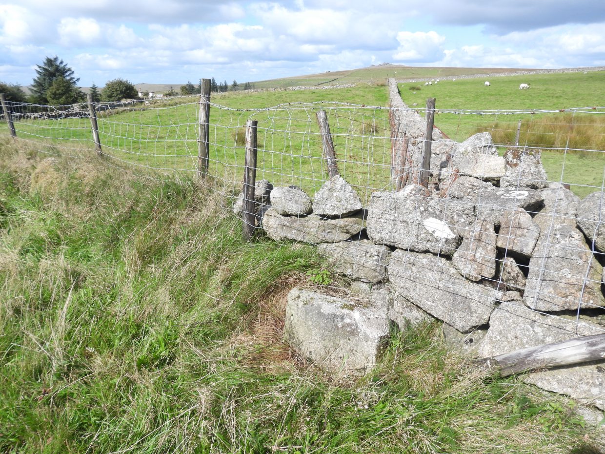 Erroneous Dartmoor Forest Boundary change in 18th Century at ...