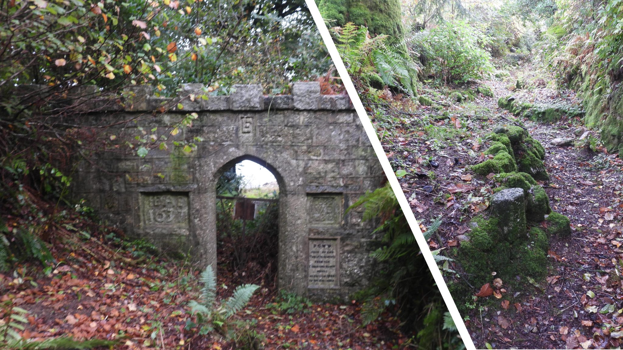Wembley Walk – Burrator Arches – Dartmoor Explorations