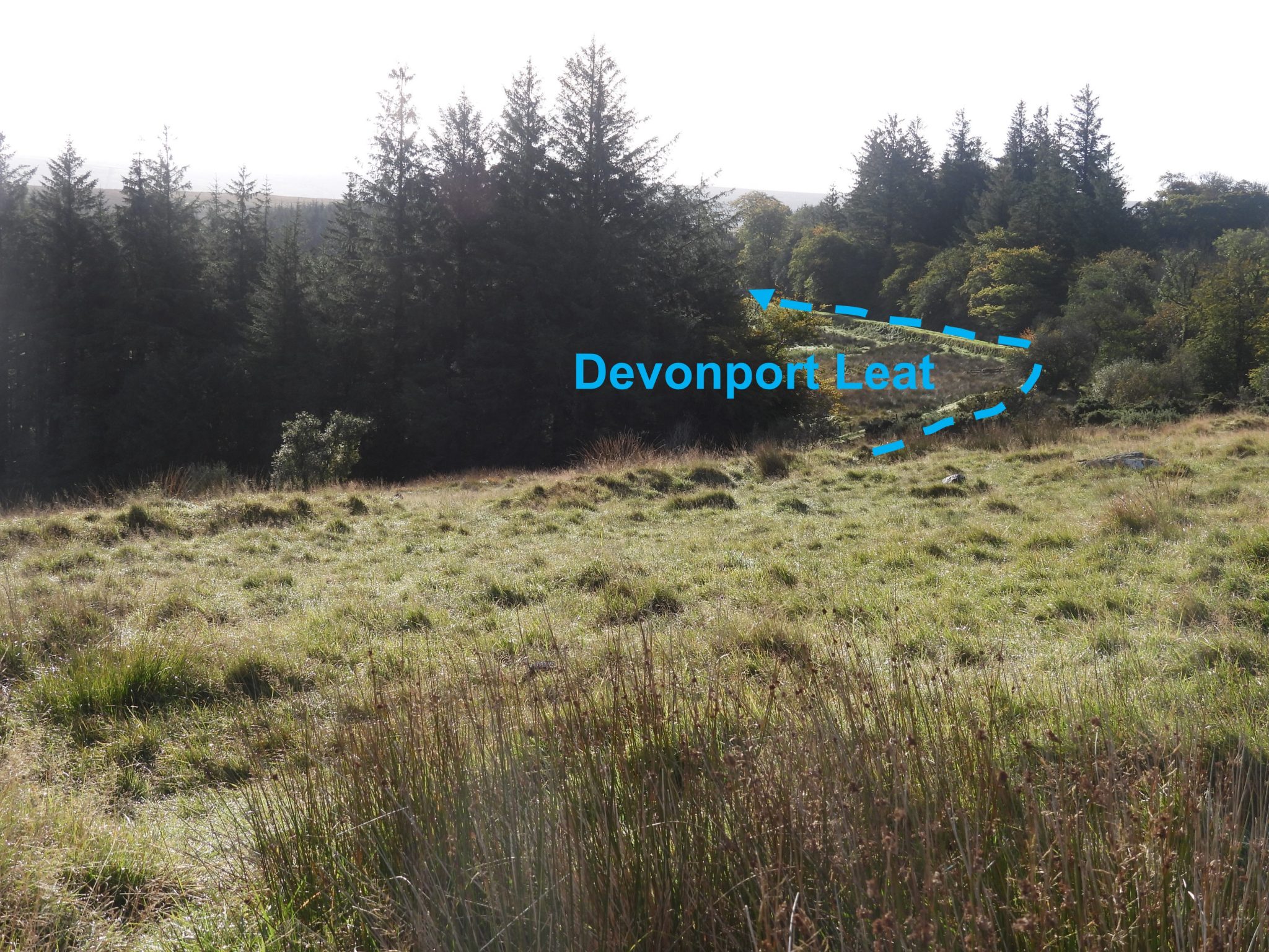 Bachelor’s Hall Tin Mine – Dartmoor Explorations