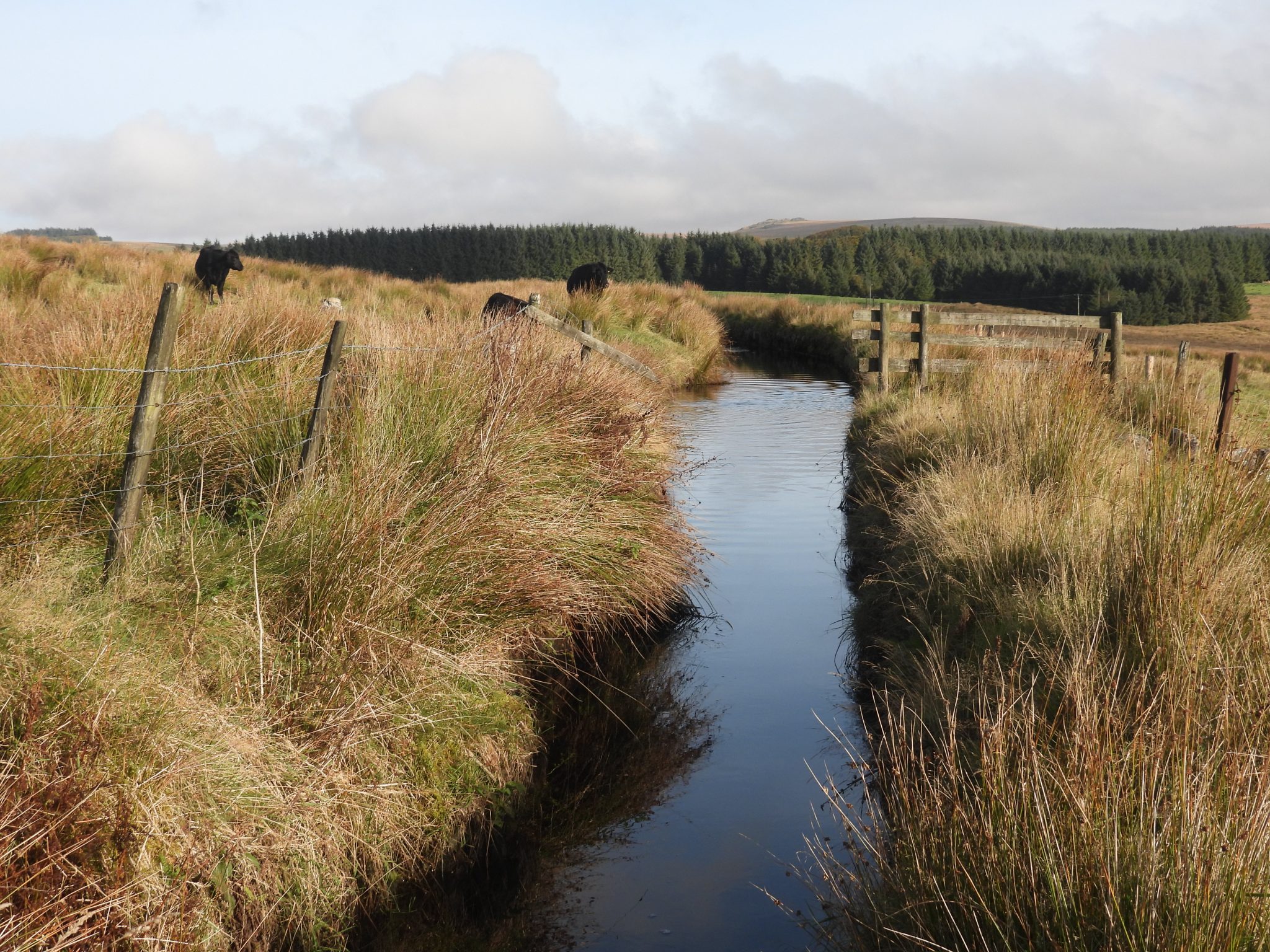 Bachelor’s Hall Tin Mine – Dartmoor Explorations