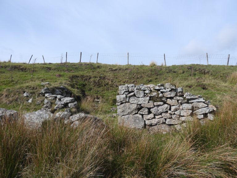 ‘Castle’ and Castle Farm – Dartmoor Explorations