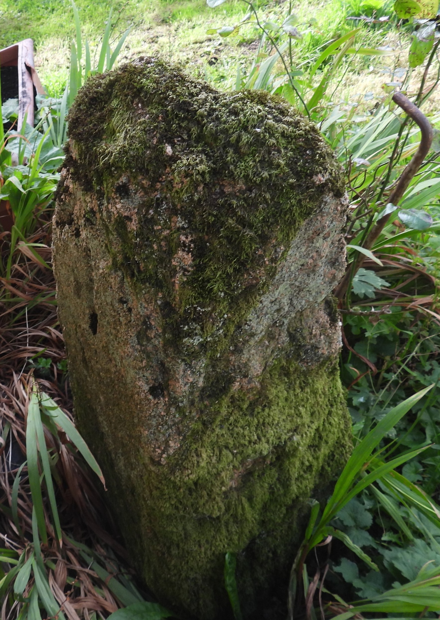 Director of Convicts Prisons Boundary Stones – Dartmoor Explorations