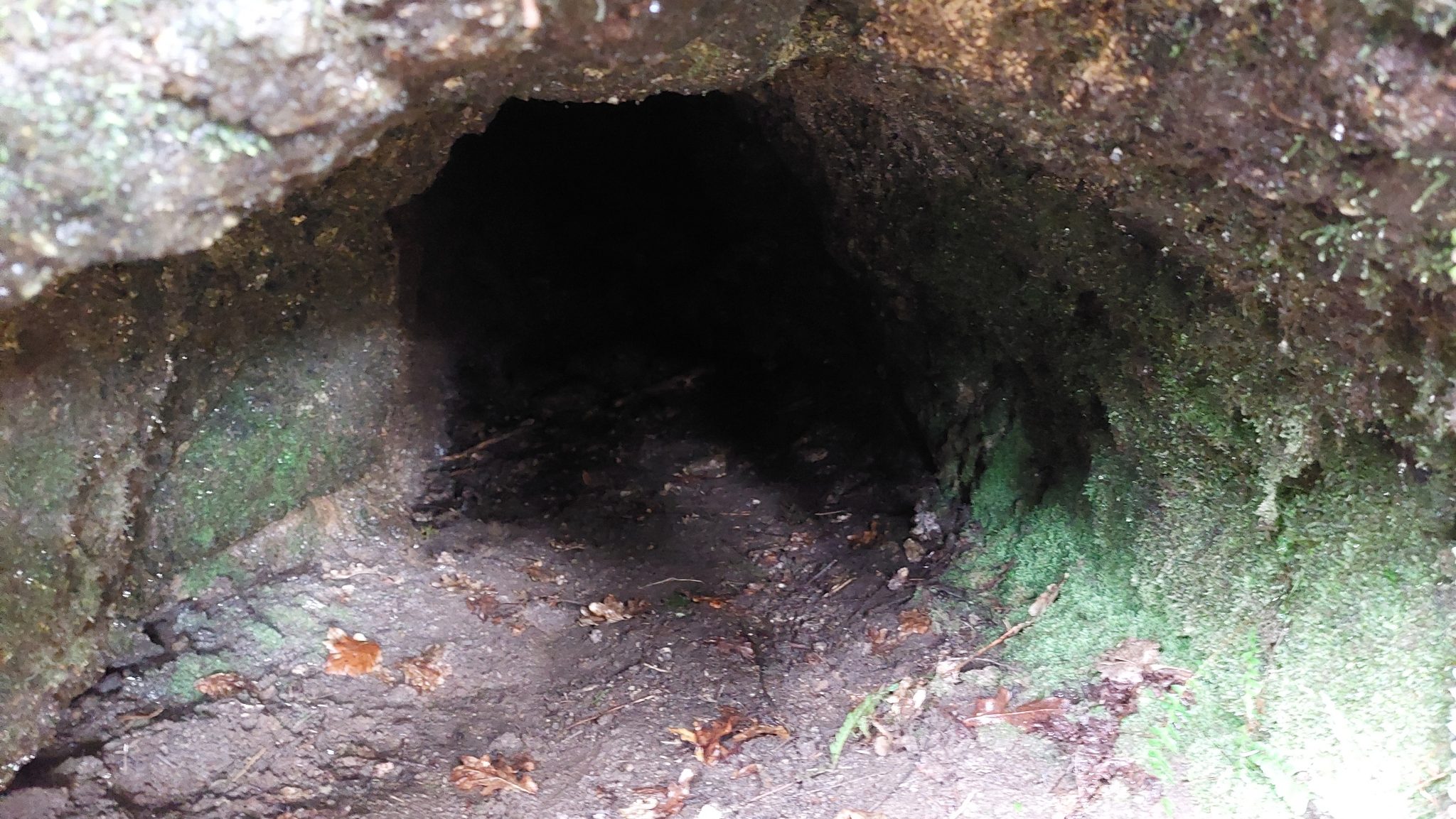 Great Rowter / Great Rough Tor Mine – Dartmoor Explorations