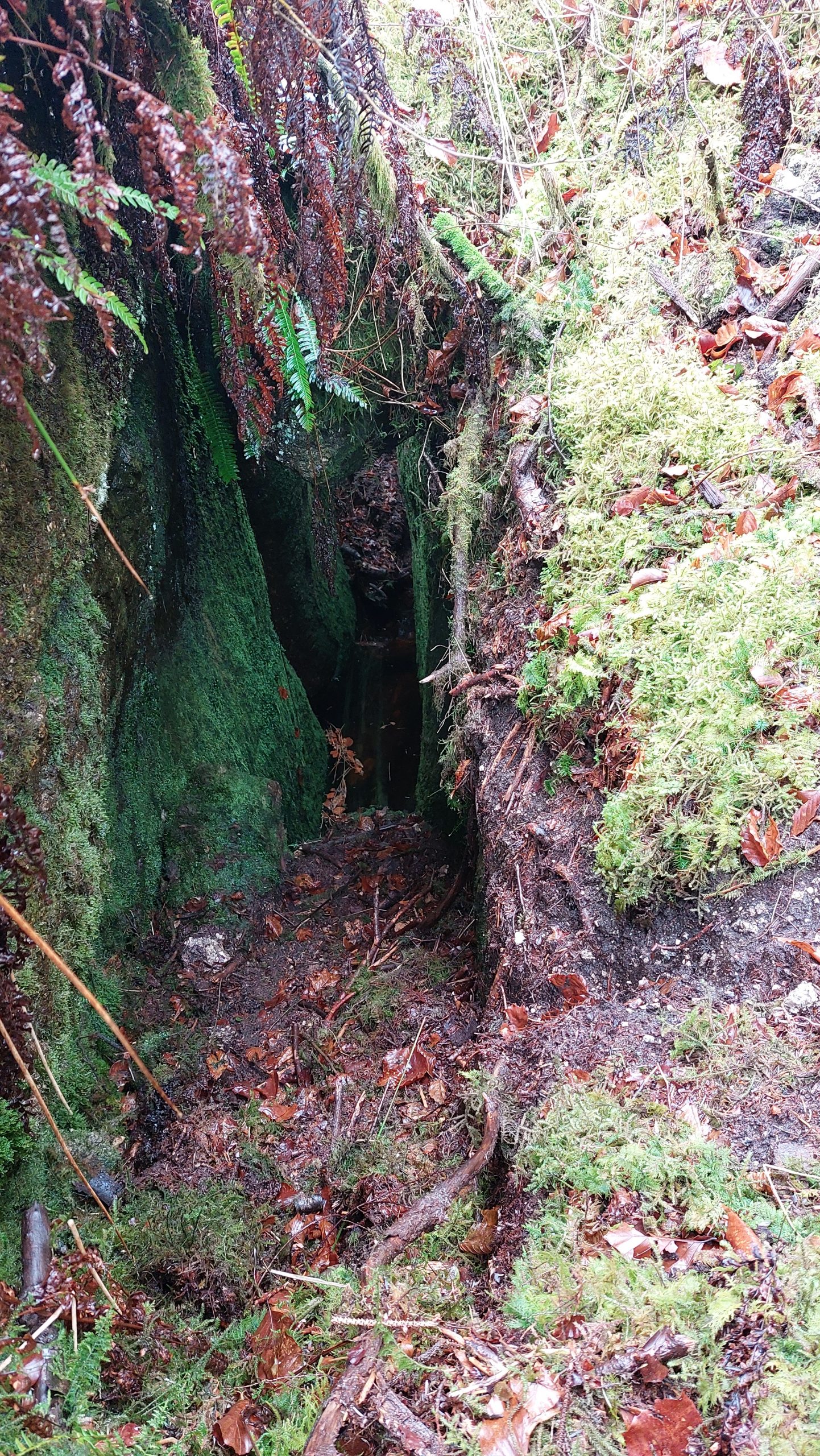 Great Rowter / Great Rough Tor Mine – Dartmoor Explorations