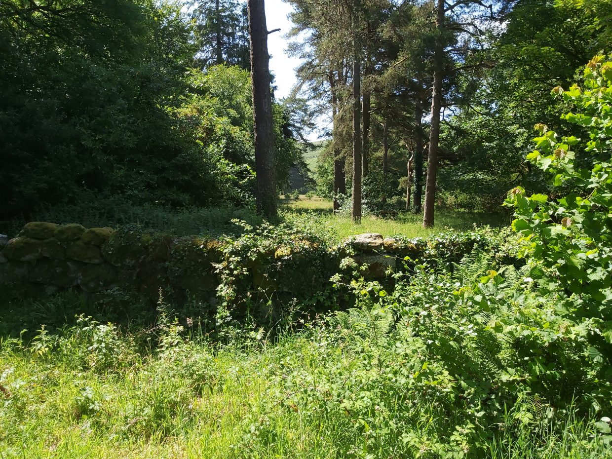 Hexworthy or Huccaby Bridge (and environs) – Dartmoor Explorations