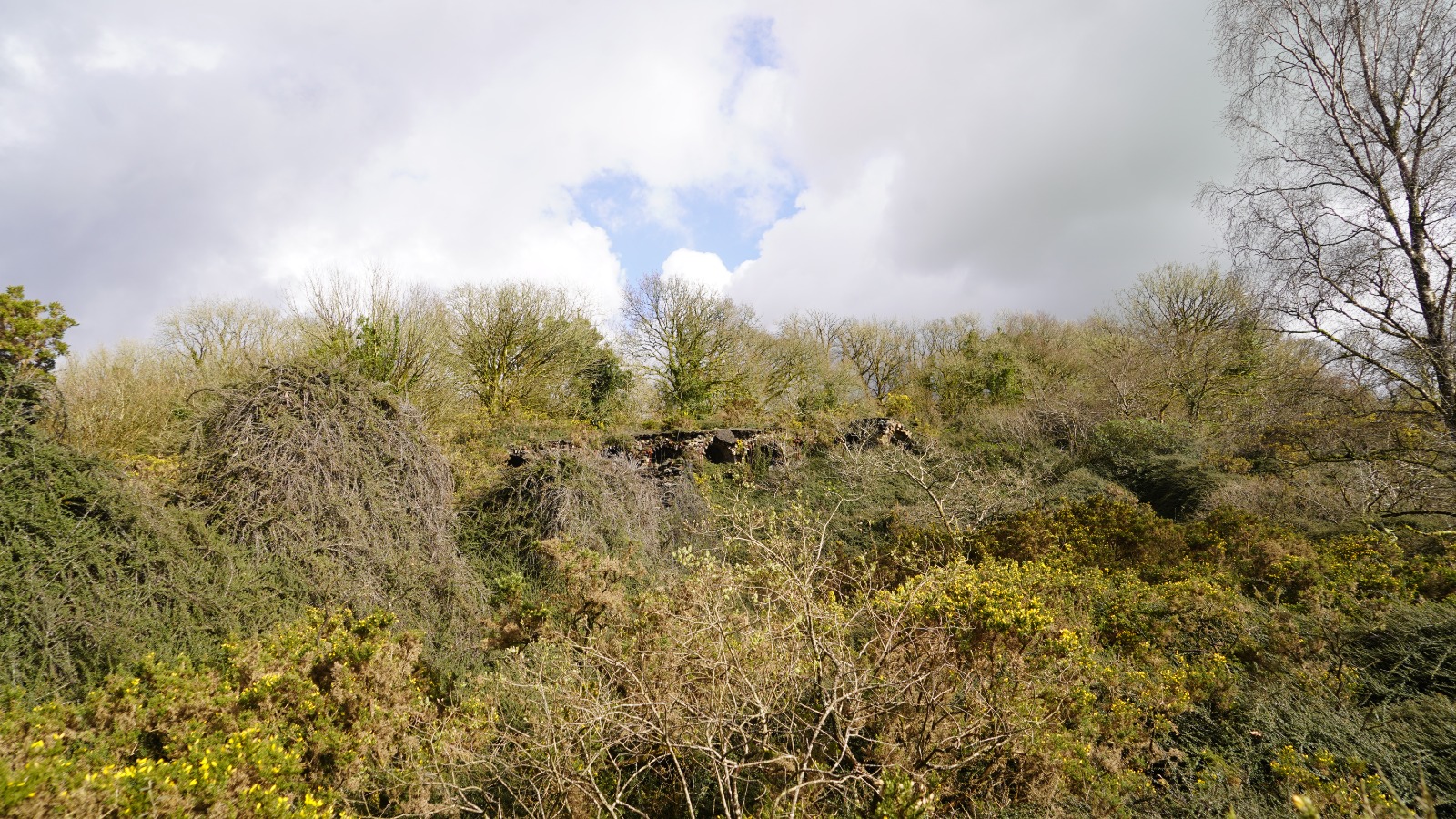 Wheal Friendship (1870s to 1950s) – Dartmoor Explorations