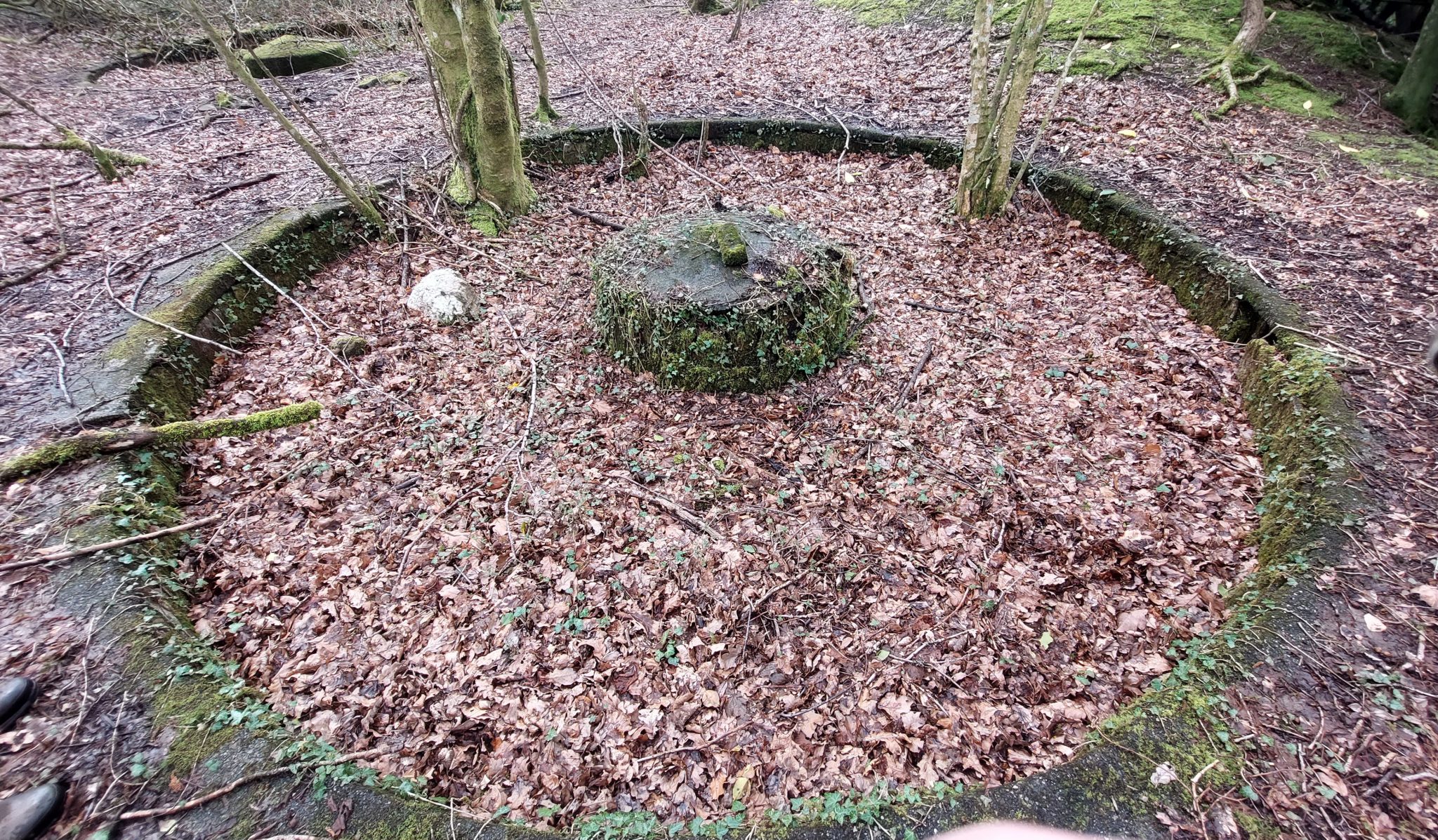 Wheal Friendship (1870s to 1950s) – Dartmoor Explorations