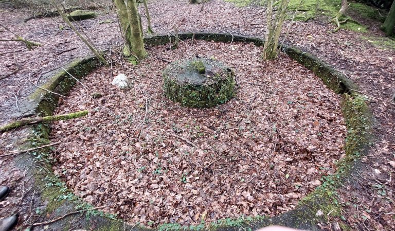 Wheal Friendship (1870s to 1950s) – Dartmoor Explorations