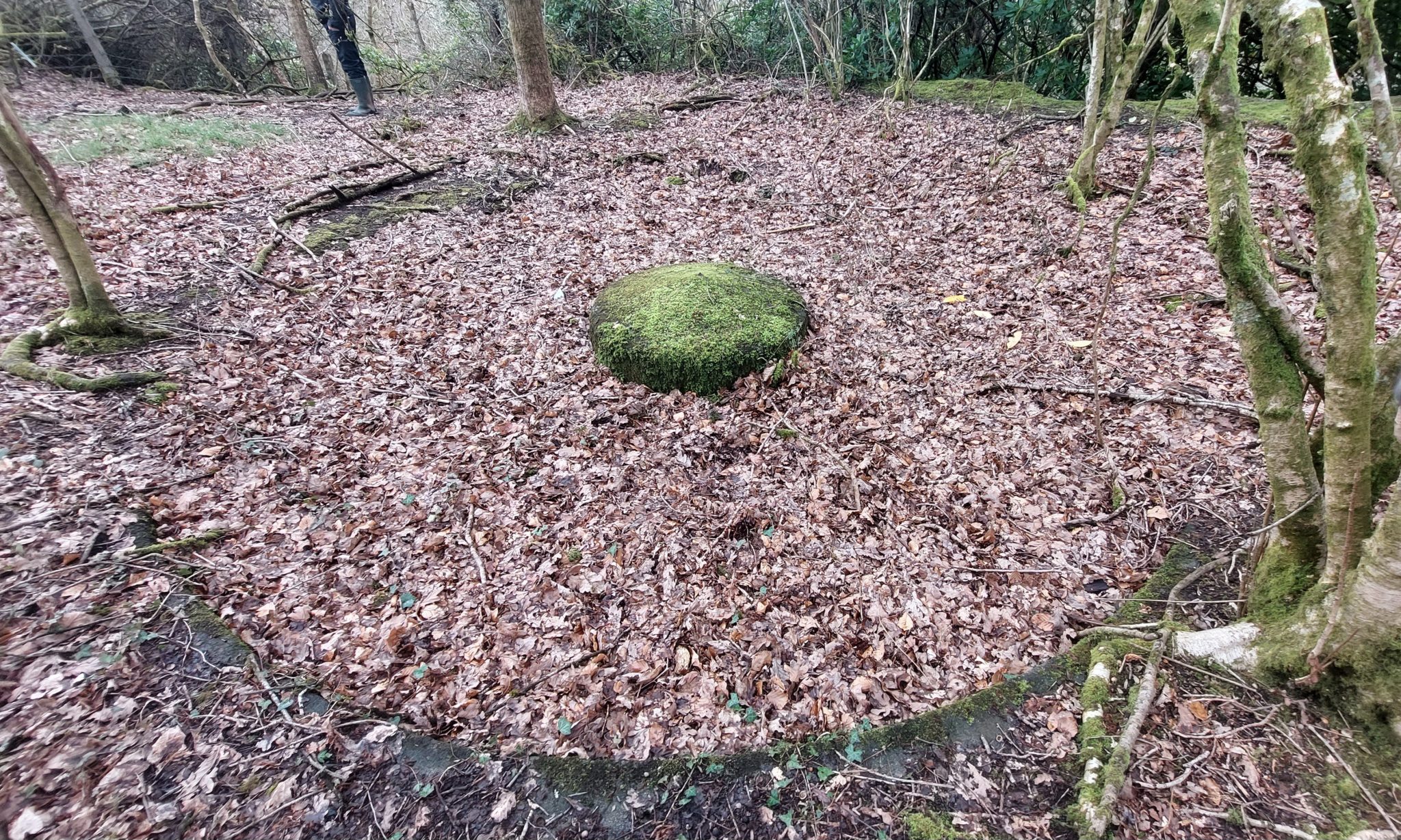 Wheal Friendship (1870s to 1950s) – Dartmoor Explorations