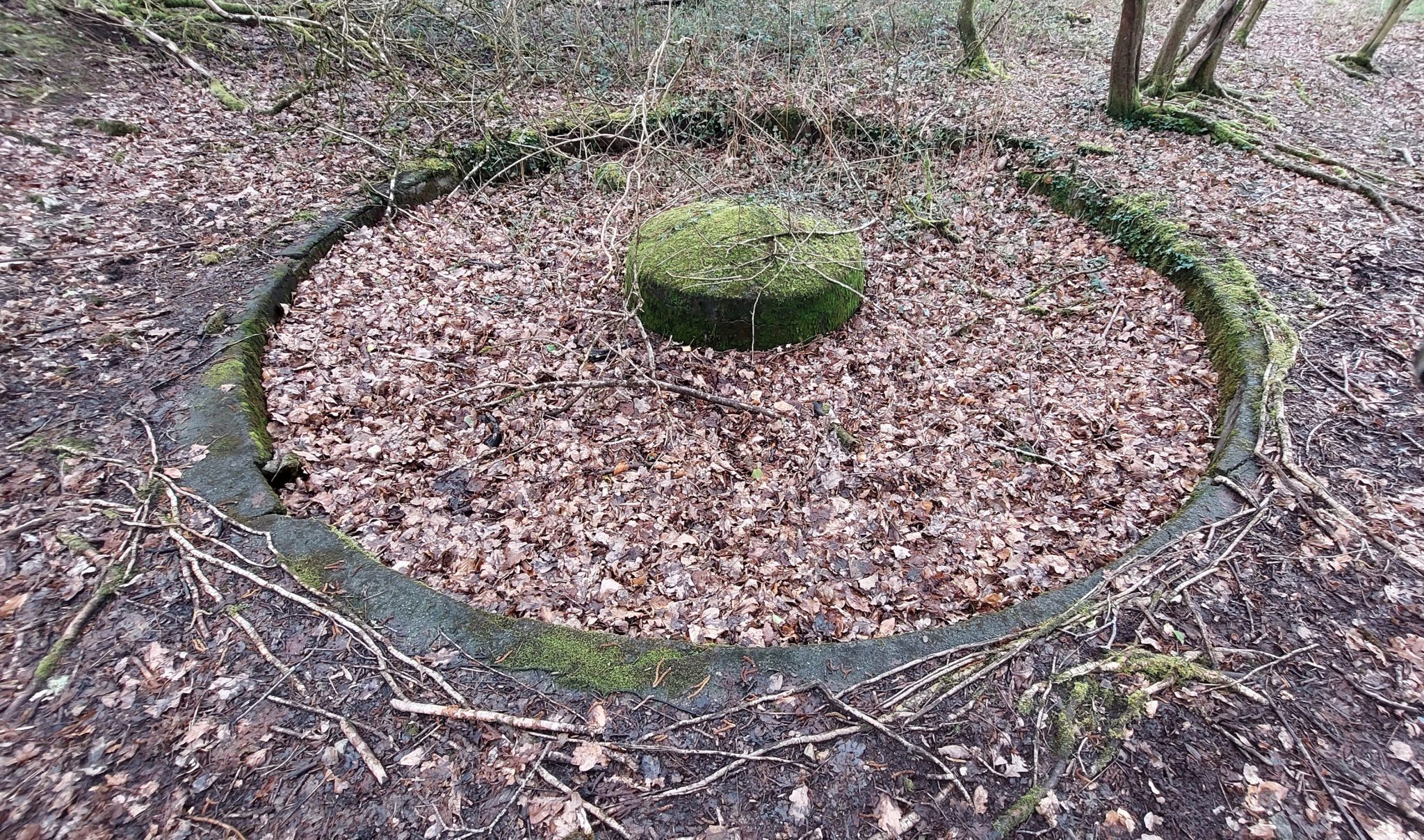 Wheal Friendship (1870s to 1950s) – Dartmoor Explorations