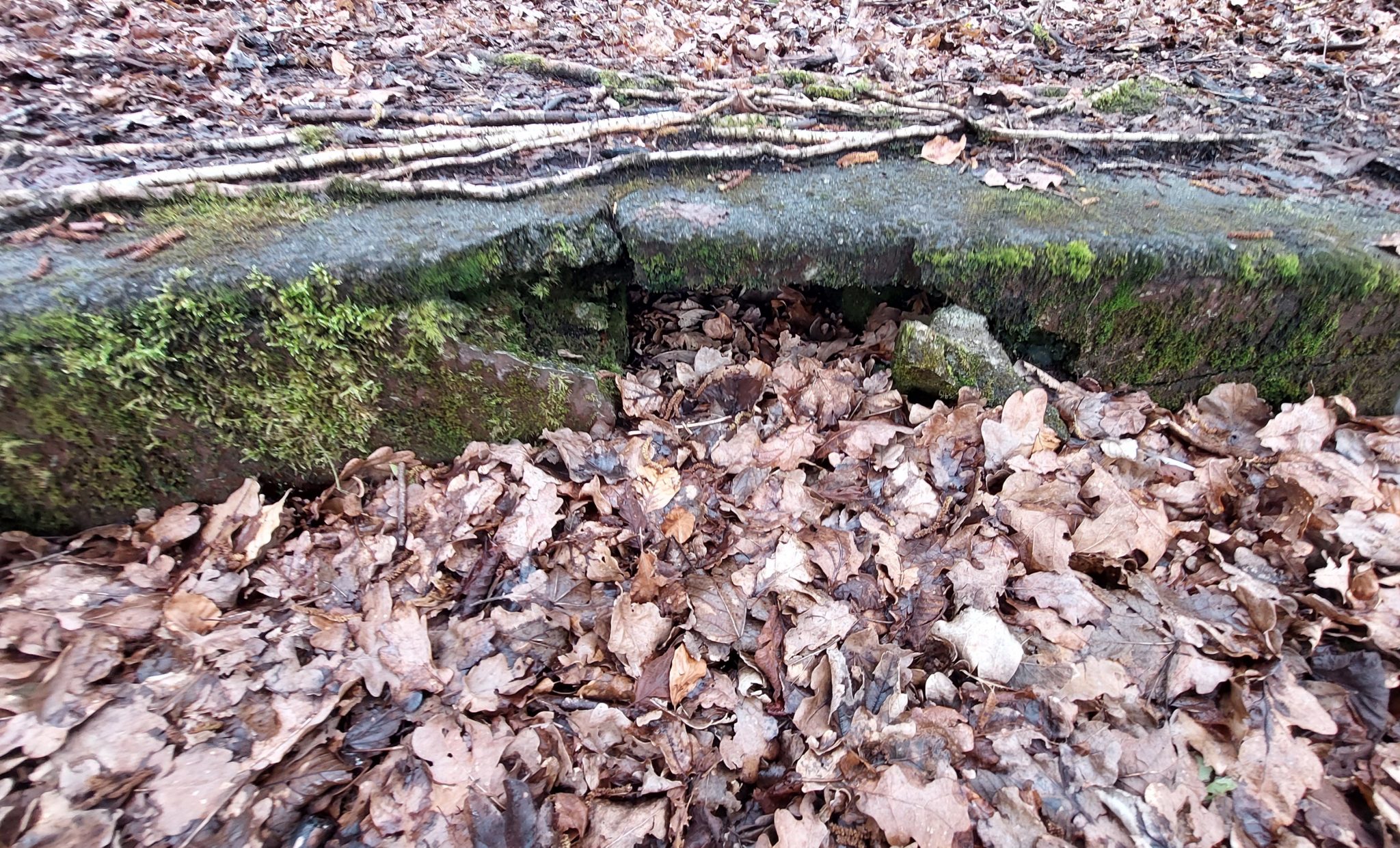 Wheal Friendship (1870s to 1950s) – Dartmoor Explorations