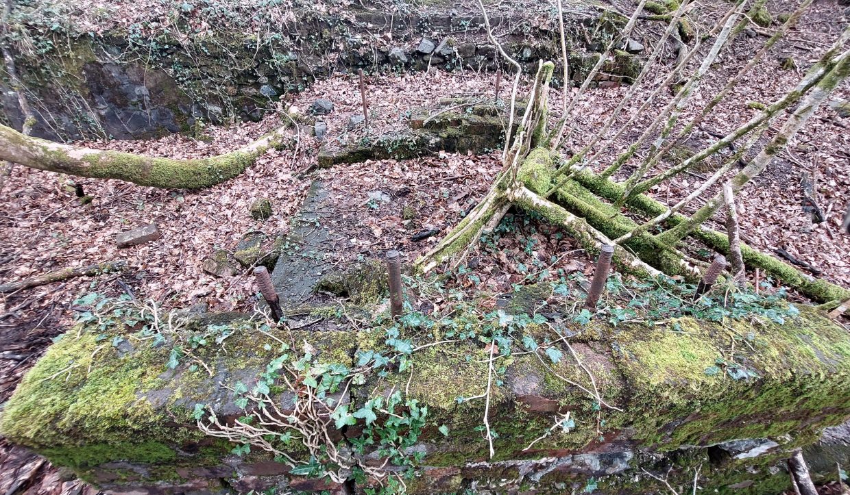 Wheal Friendship (1870s to 1950s) – Dartmoor Explorations