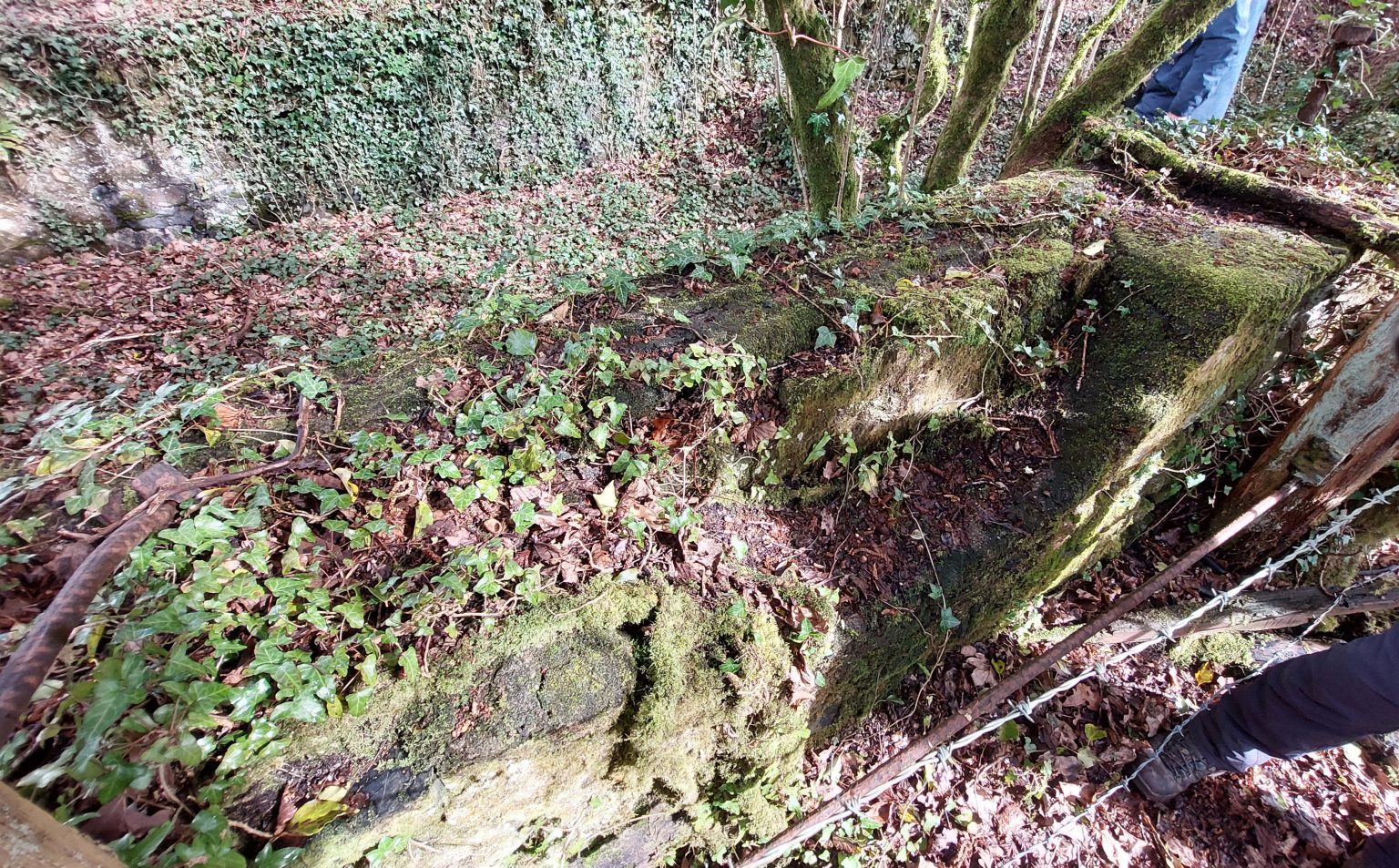 Wheal Friendship (1870s to 1950s) – Dartmoor Explorations