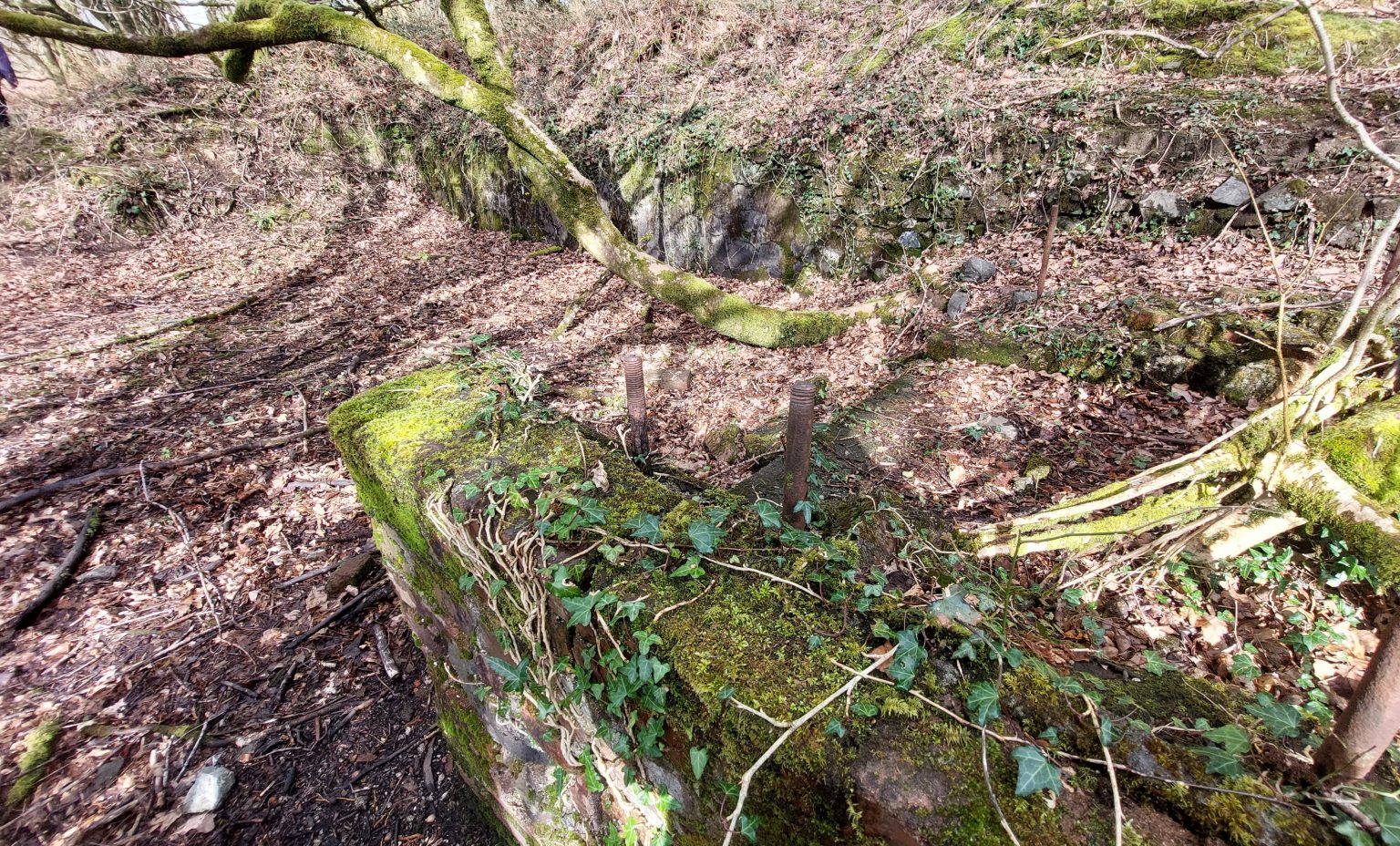 Wheal Friendship (1870s to 1950s) – Dartmoor Explorations