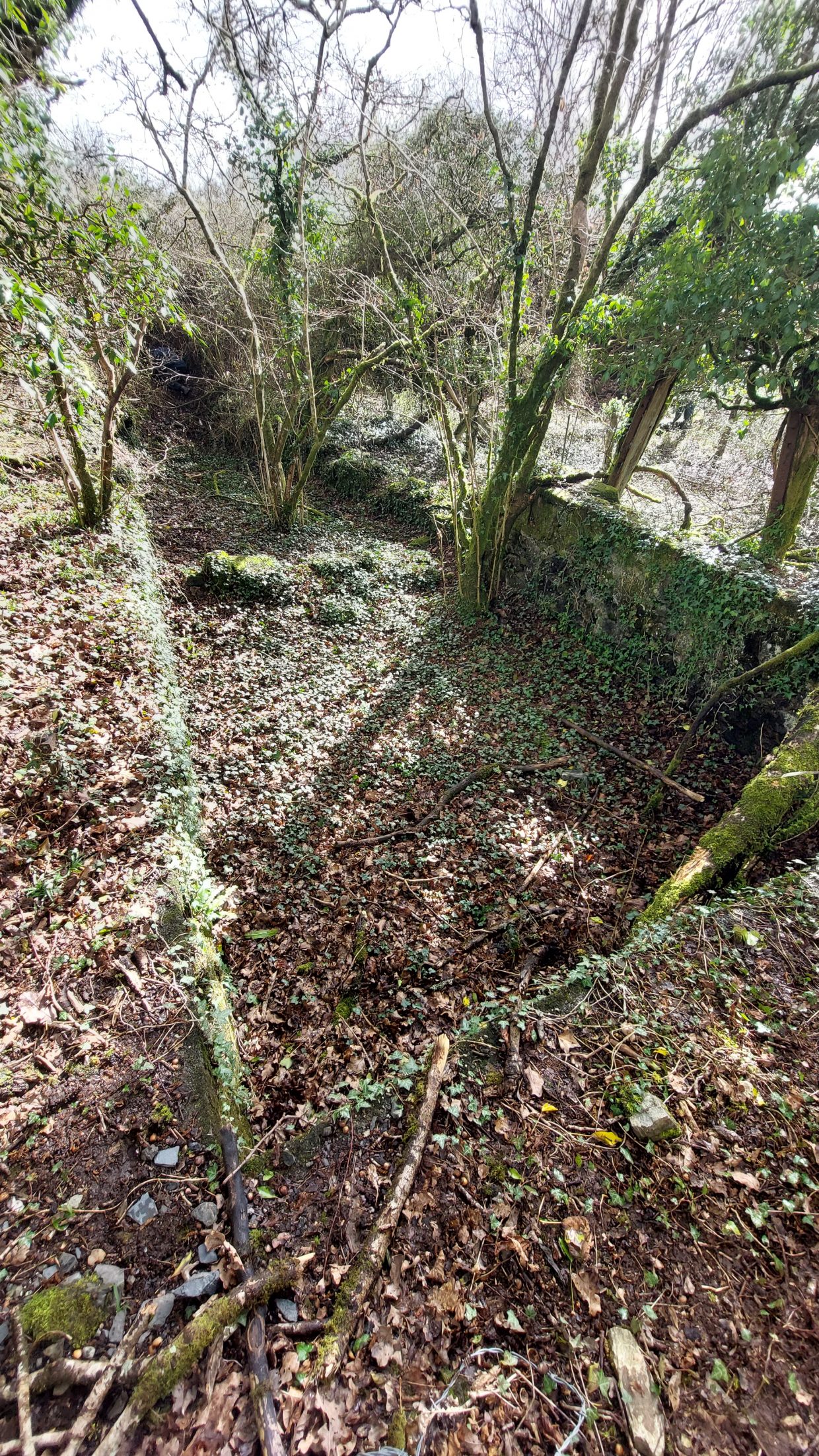 Wheal Friendship (1870s to 1950s) – Dartmoor Explorations