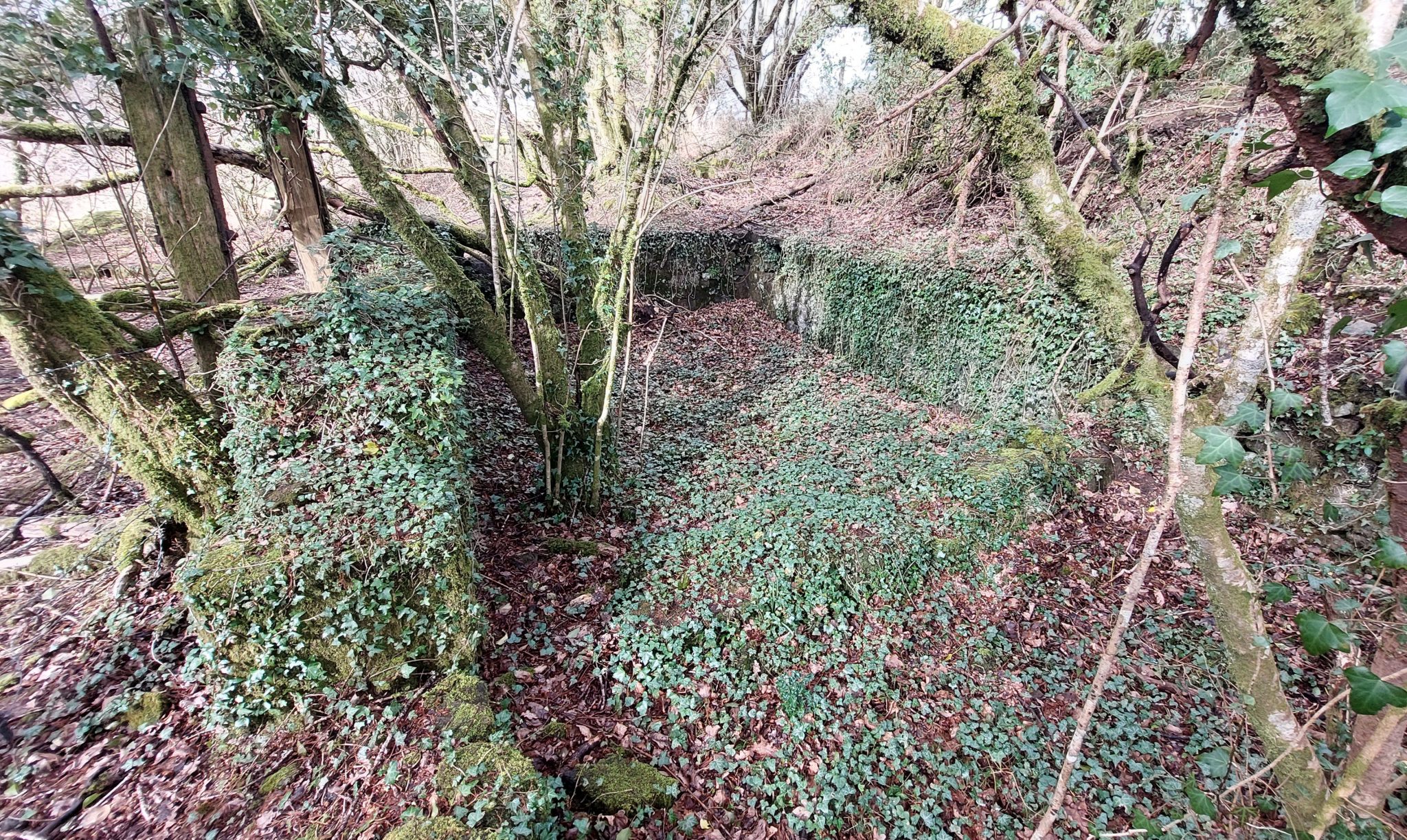 Wheal Friendship (1870s to 1950s) – Dartmoor Explorations