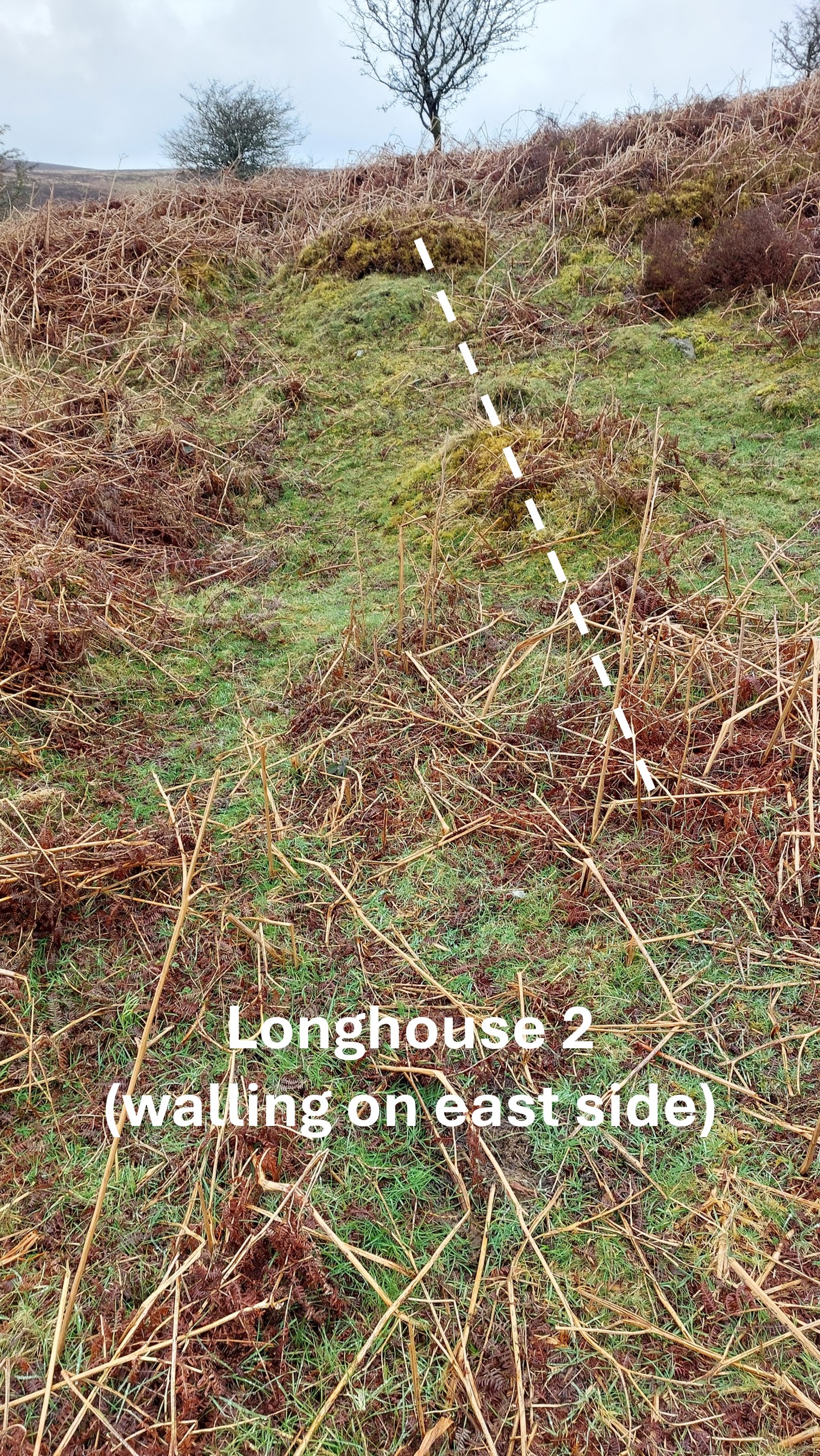 Redwater Valley Medieval Farmstead / Settlement – Dartmoor Explorations