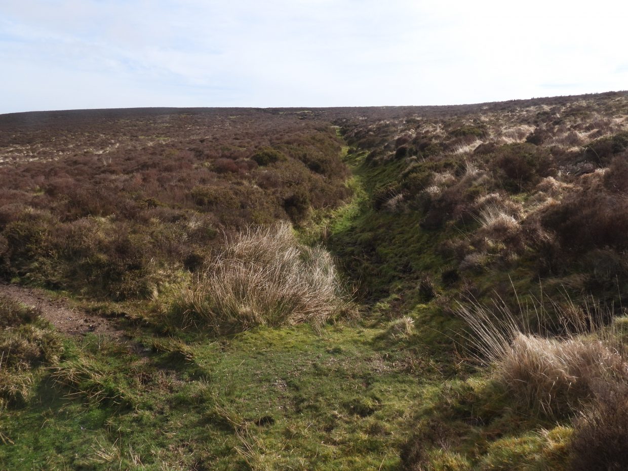 Bush Down Tin Mine – Dartmoor Explorations