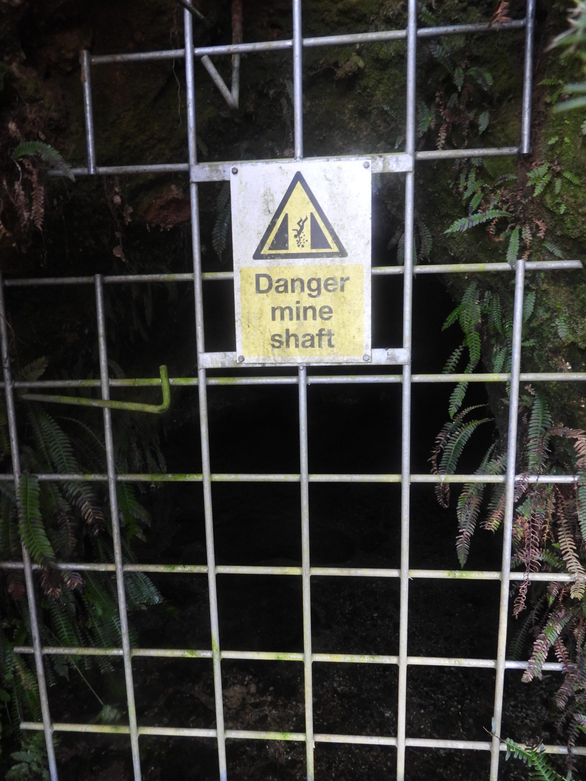Bush Down Tin Mine – Dartmoor Explorations