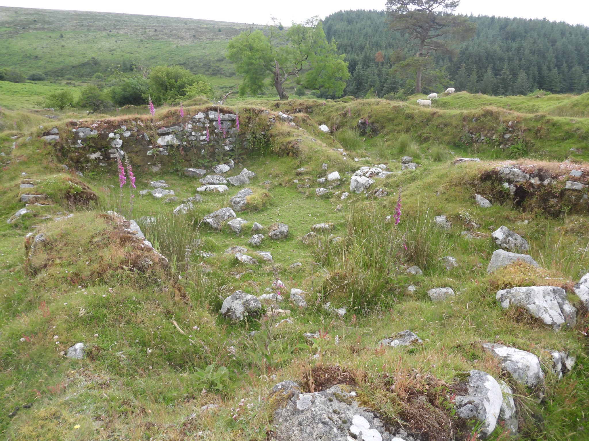 Stanlake (Stenlake) Farm – Dartmoor Explorations