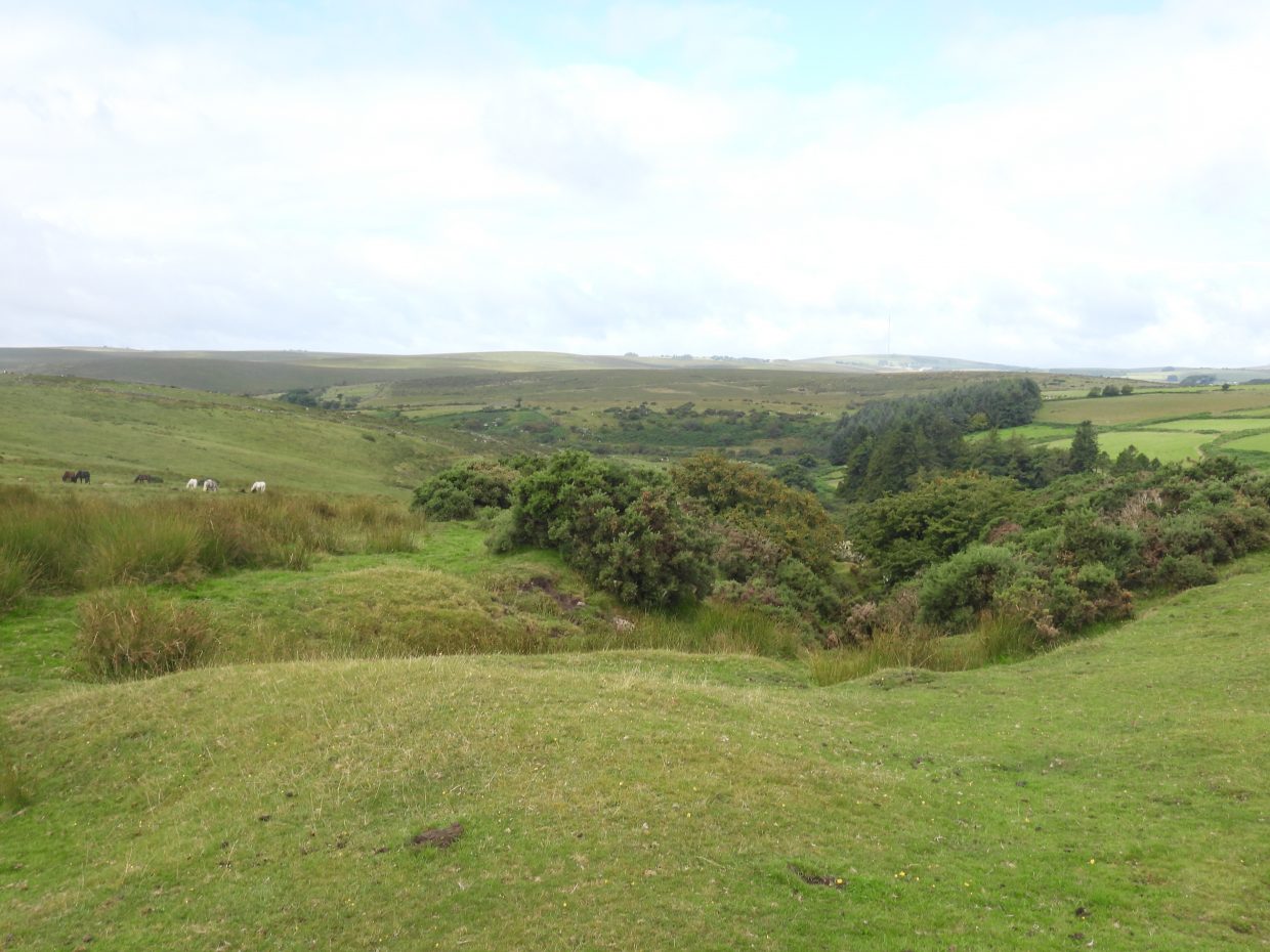 Dartmoor Way, High Moorland Link – Part 2 – Hexworthy to Tavistock ...