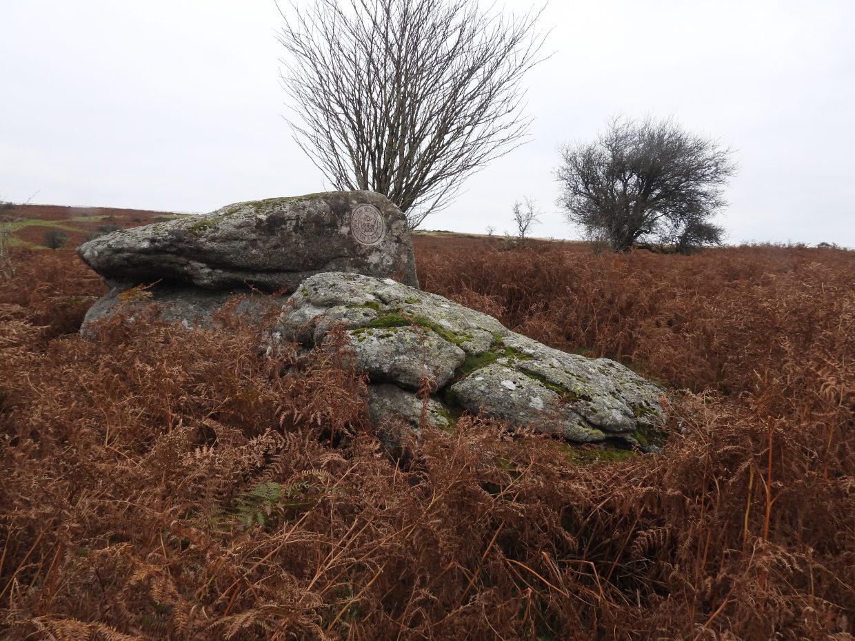 Holwell Lane Commons Farmstead – Dartmoor Explorations