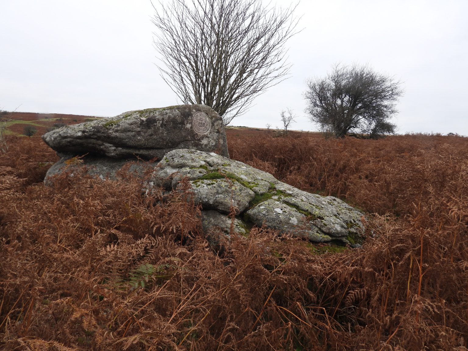 Holwell Lane Commons Farmstead – Dartmoor Explorations