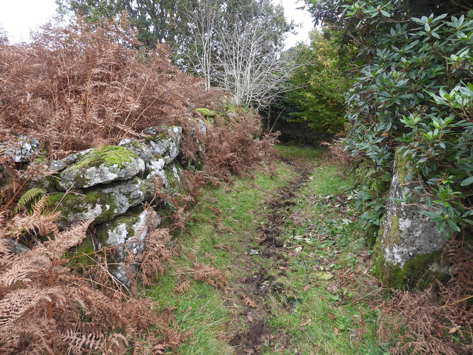 Holwell Lane Commons Farmstead – Dartmoor Explorations
