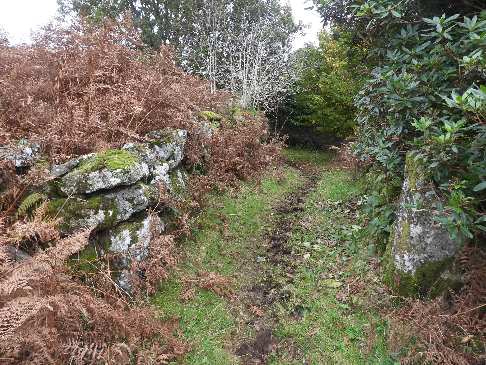 Holwell Lane Commons Farmstead – Dartmoor Explorations