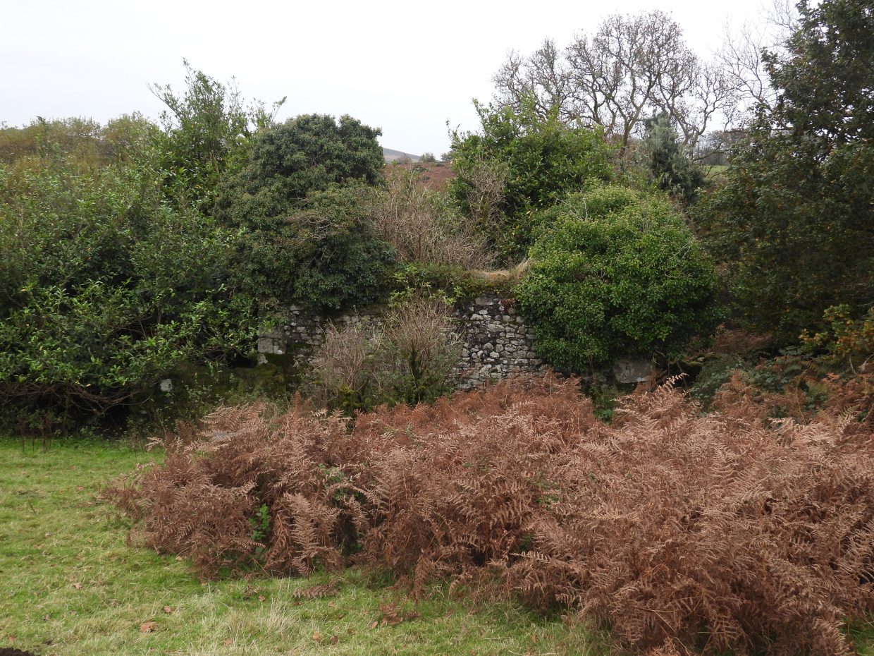 Holwell Lane Commons Farmstead – Dartmoor Explorations