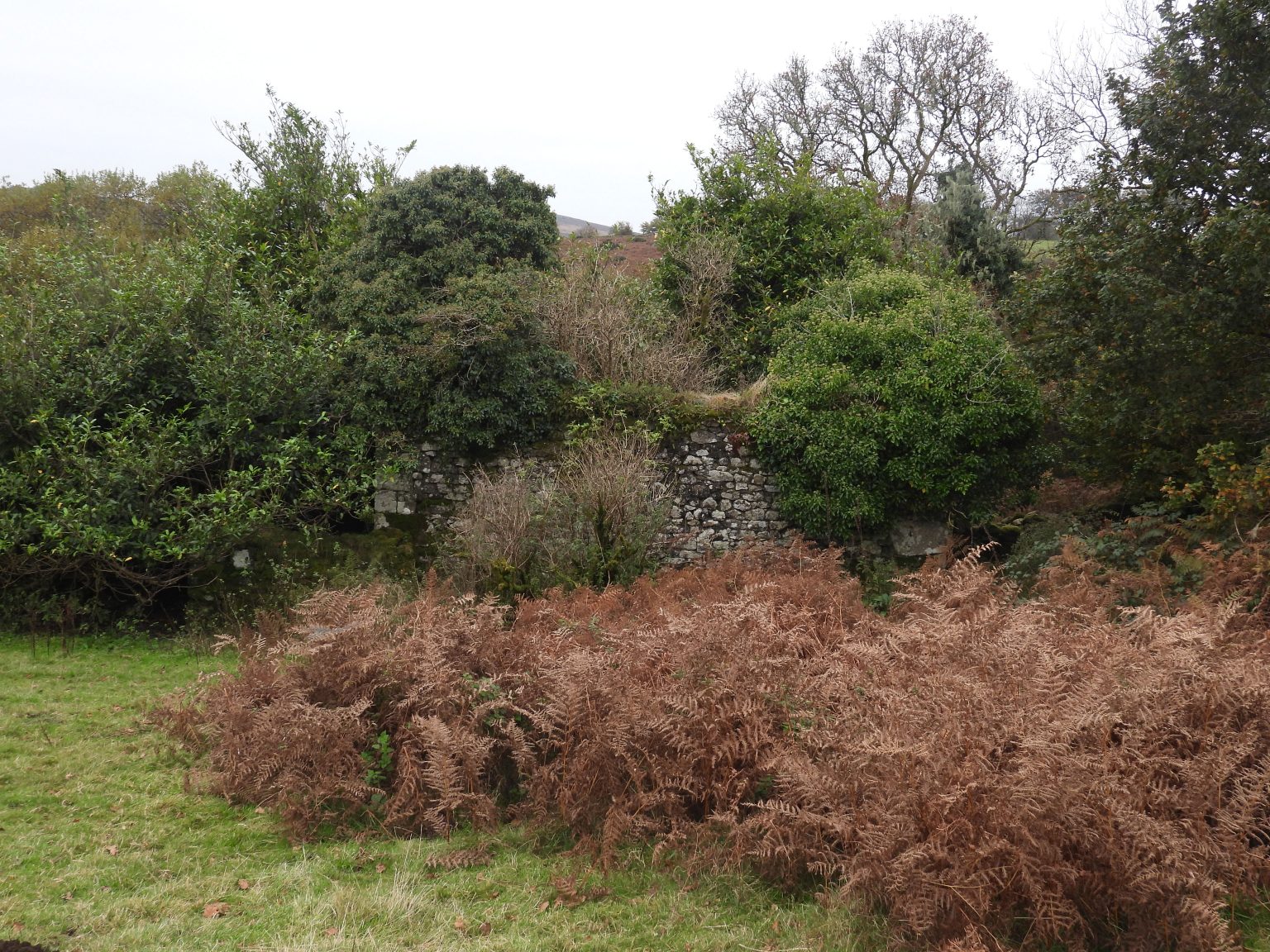 Holwell Lane Commons Farmstead – Dartmoor Explorations