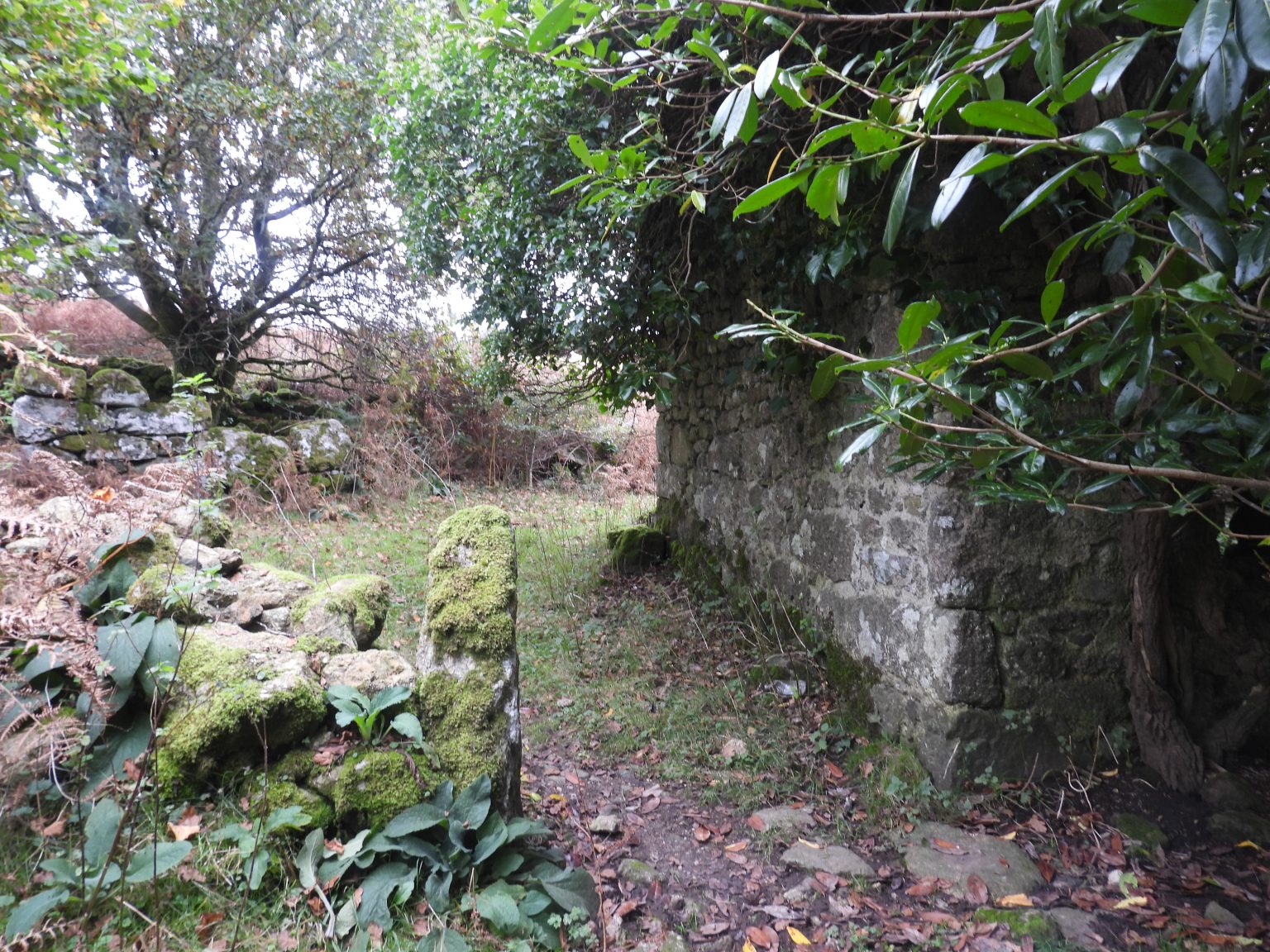 Holwell Lane Commons Farmstead – Dartmoor Explorations