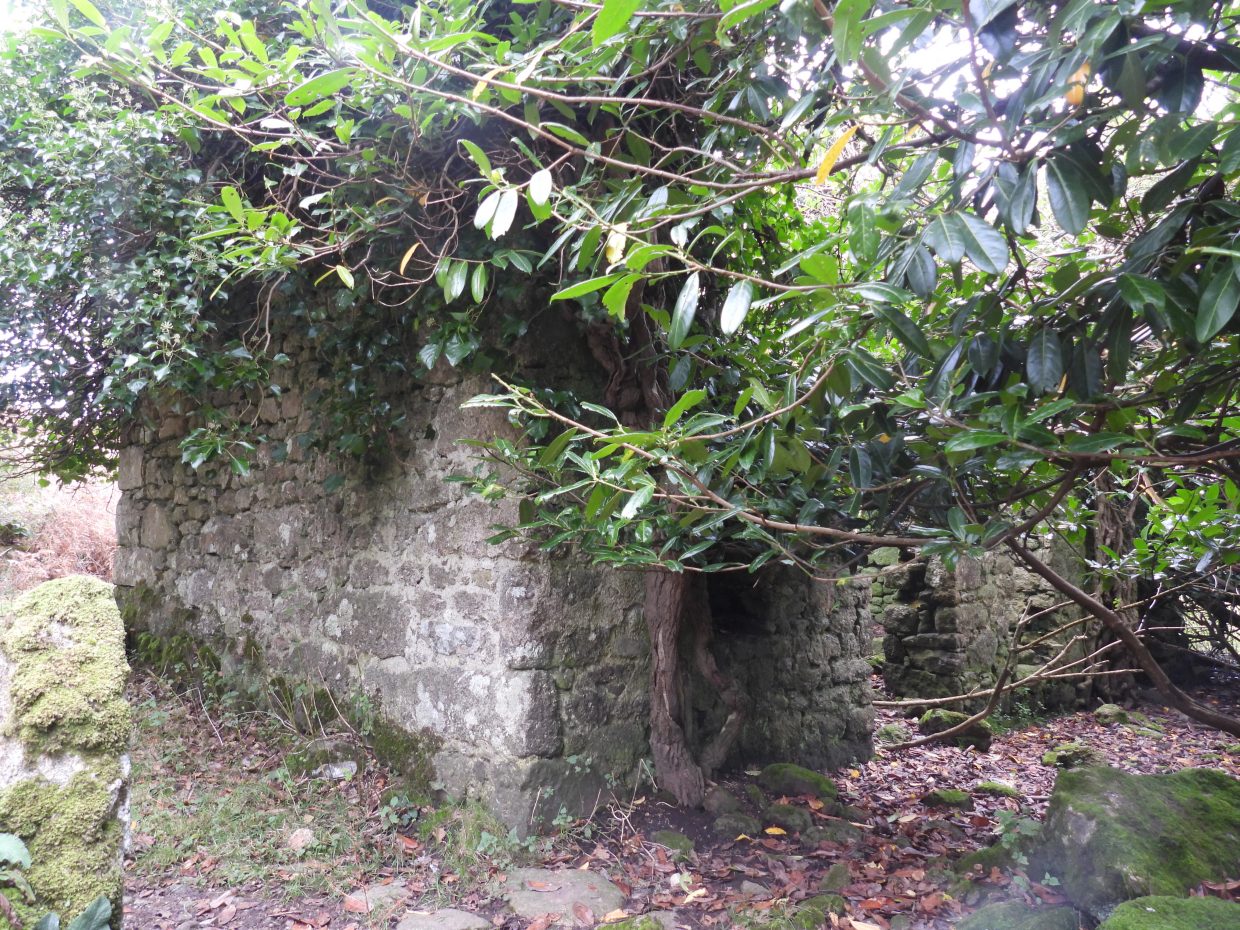 Holwell Lane Commons Farmstead – Dartmoor Explorations
