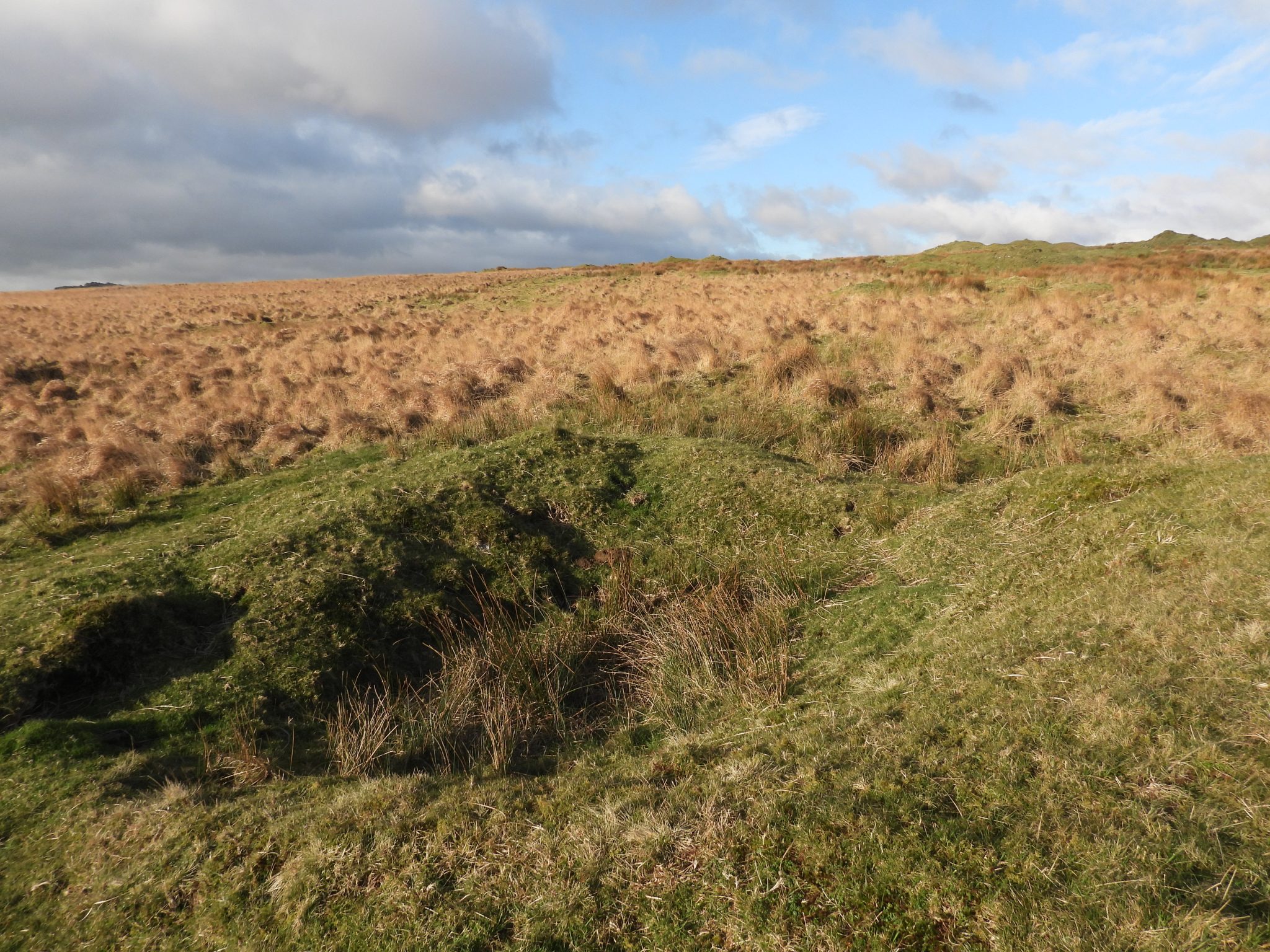 Holming Beam Mine / Wheal Mistor – Dartmoor Explorations