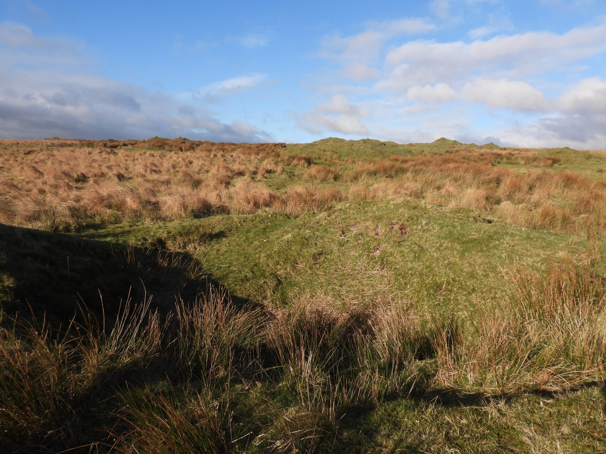 Holming Beam Mine / Wheal Mistor – Dartmoor Explorations