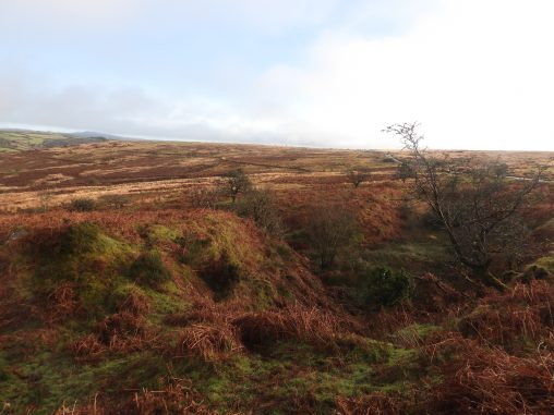 Aller Brook and Hangman’s Pit Tinworkings – Dartmoor Explorations