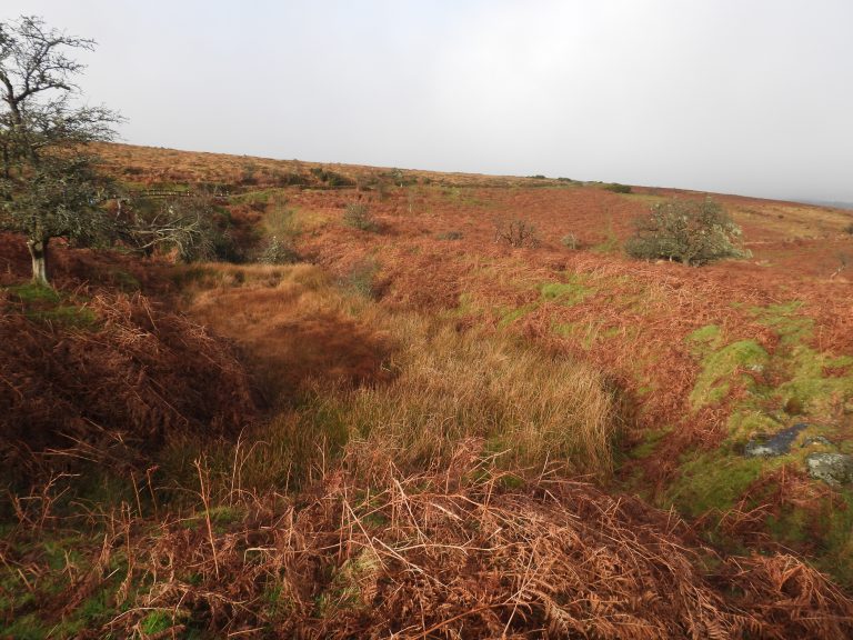 Aller Brook and Hangman’s Pit Tinworkings – Dartmoor Explorations