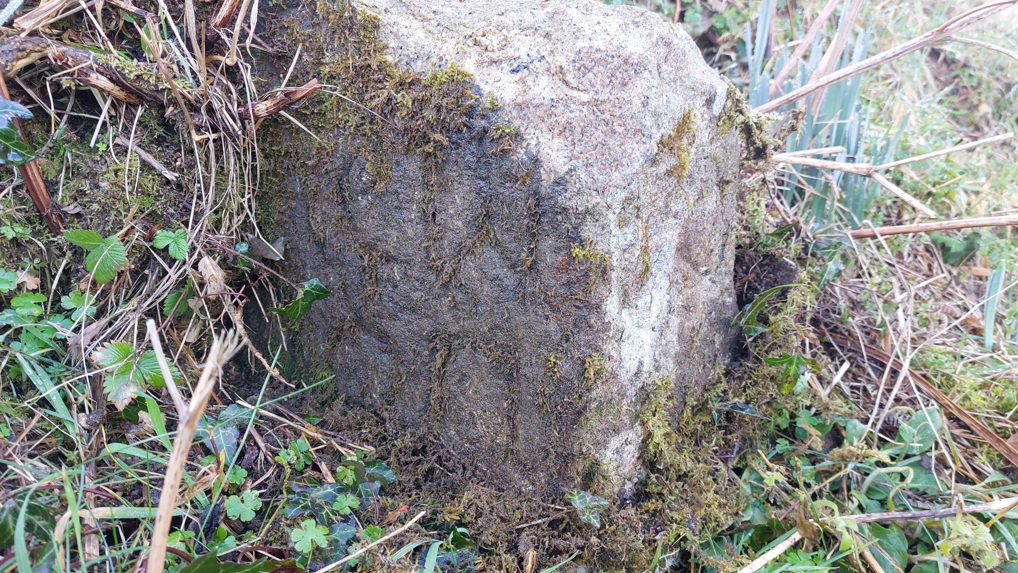 Stone Cross Guide Post – Dartmoor Explorations