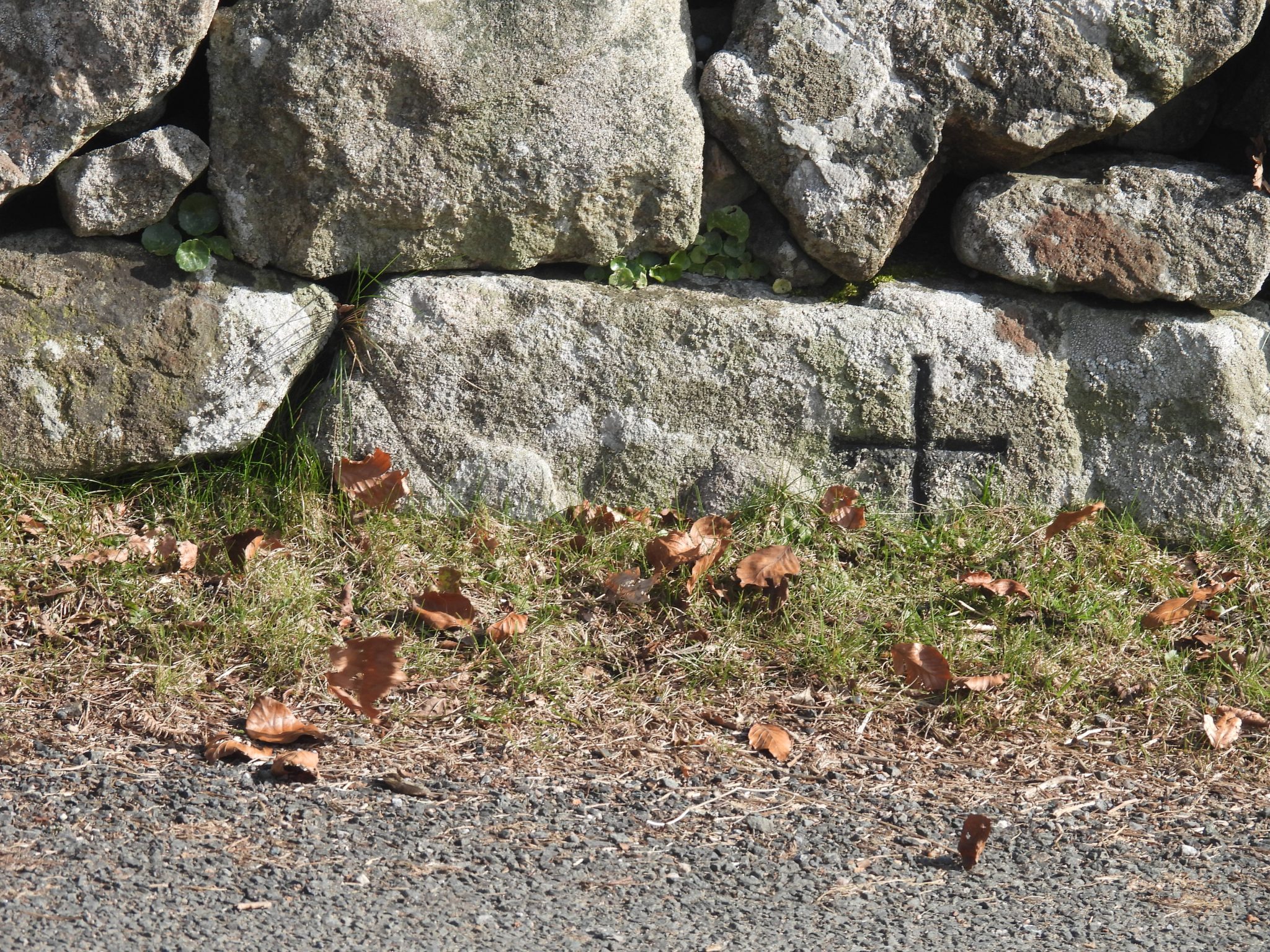 Lake Steep Memorial Cross – Dartmoor Explorations