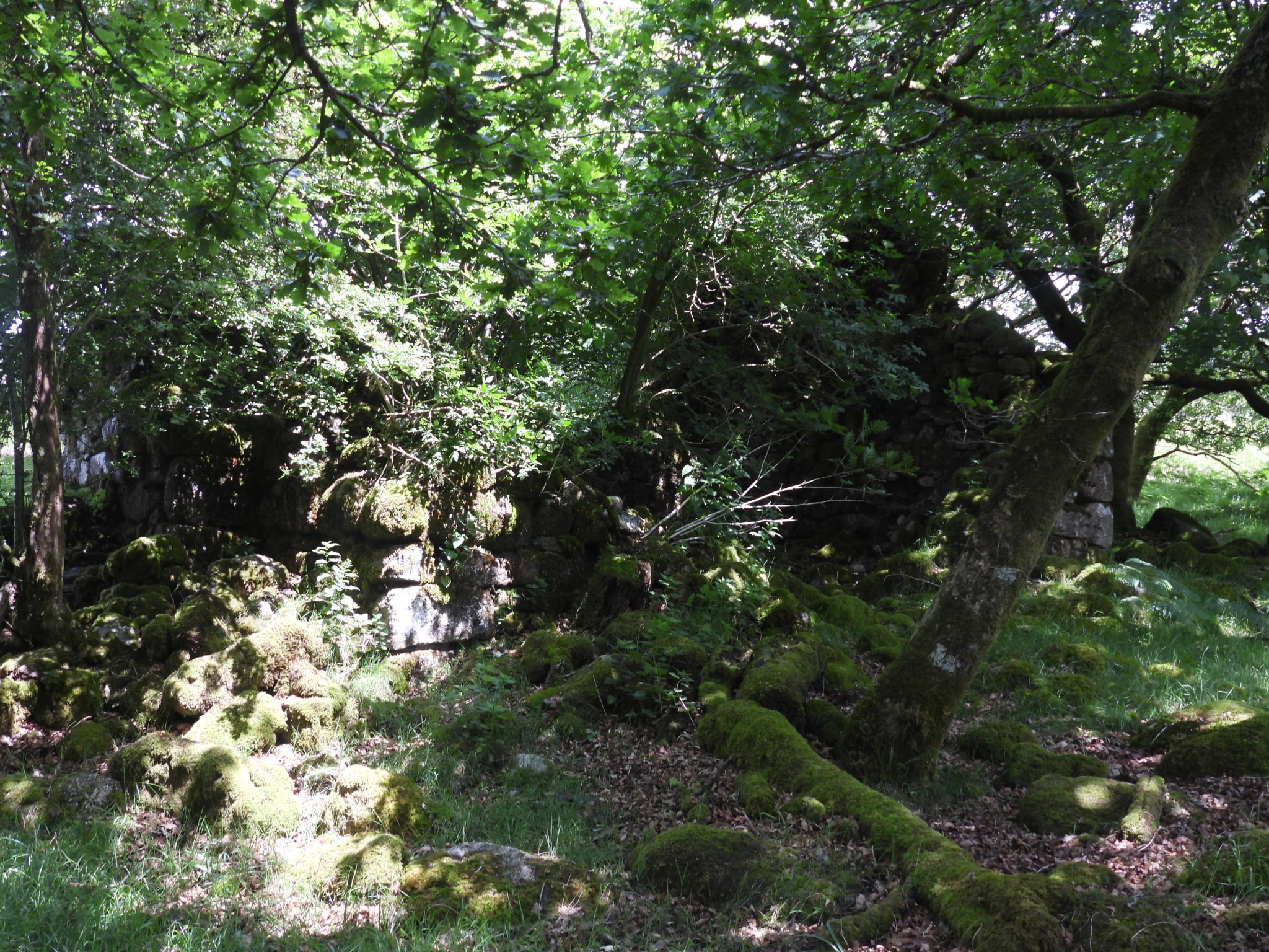 Great Marsh Cottage – Dartmoor Explorations