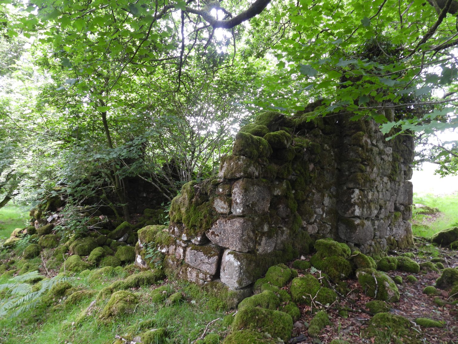 Great Marsh Cottage – Dartmoor Explorations