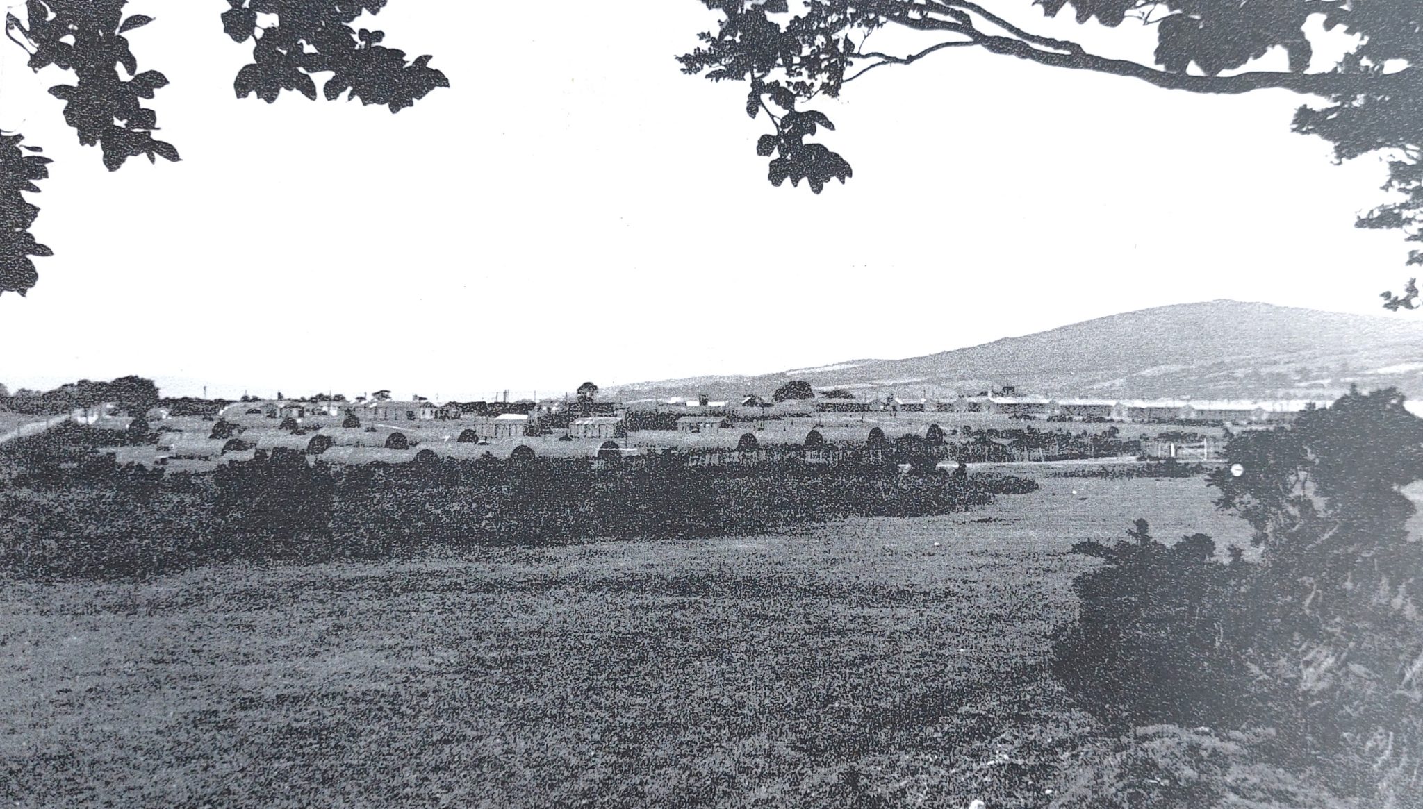 Plasterdown Camp – Dartmoor Explorations