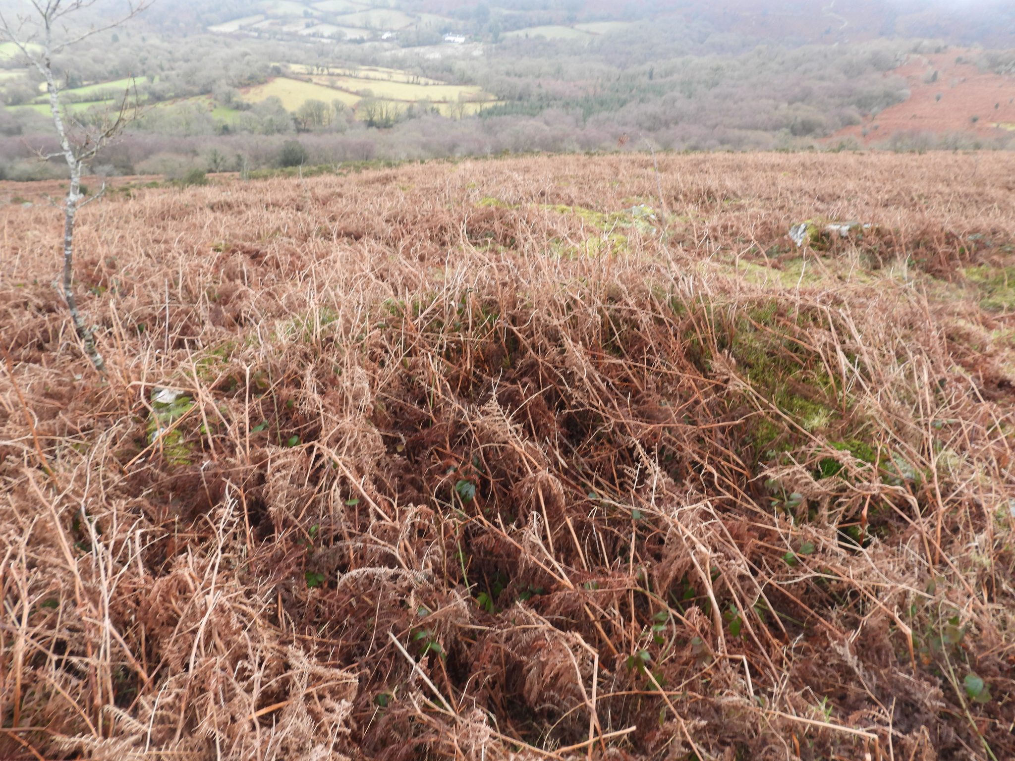 Hound Tor Medieval Settlements and Environs – Dartmoor Explorations