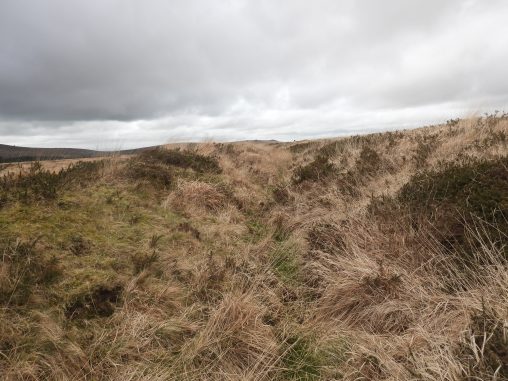 Tinners’ Workings and Reservoirs on Southern slopes of Cramber Down ...