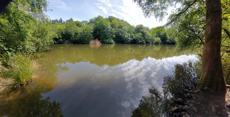 Bradford (Bradmere or Beechmere) Pool Streamworks / Wheal St. Ann ...